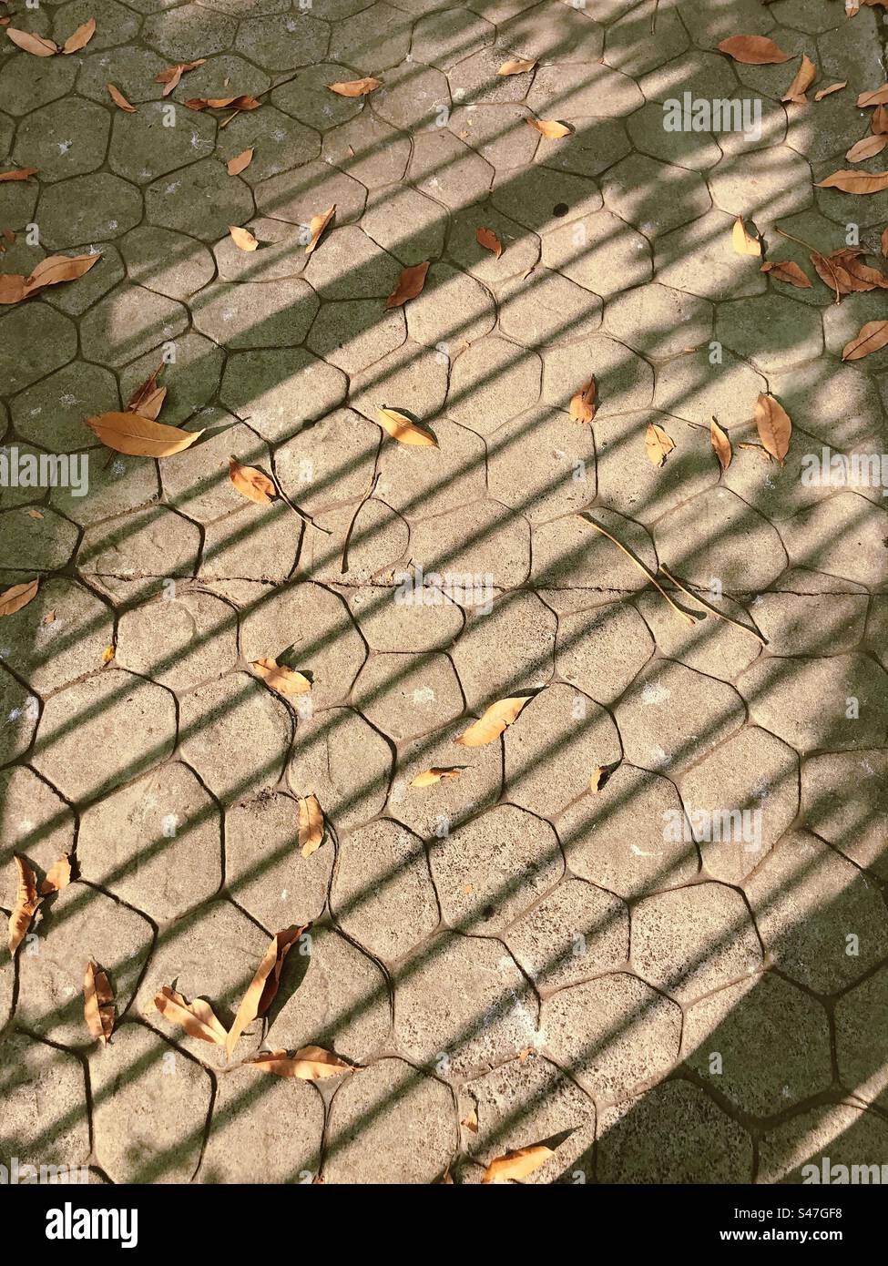 Striped shadows on the pavement Stock Photo - Alamy