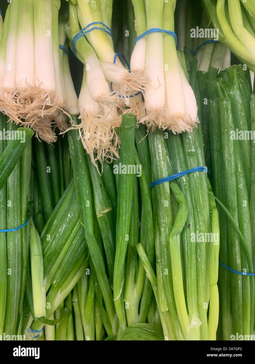 Fresh green onions for sale at the local farmers market Stock Photo - Alamy