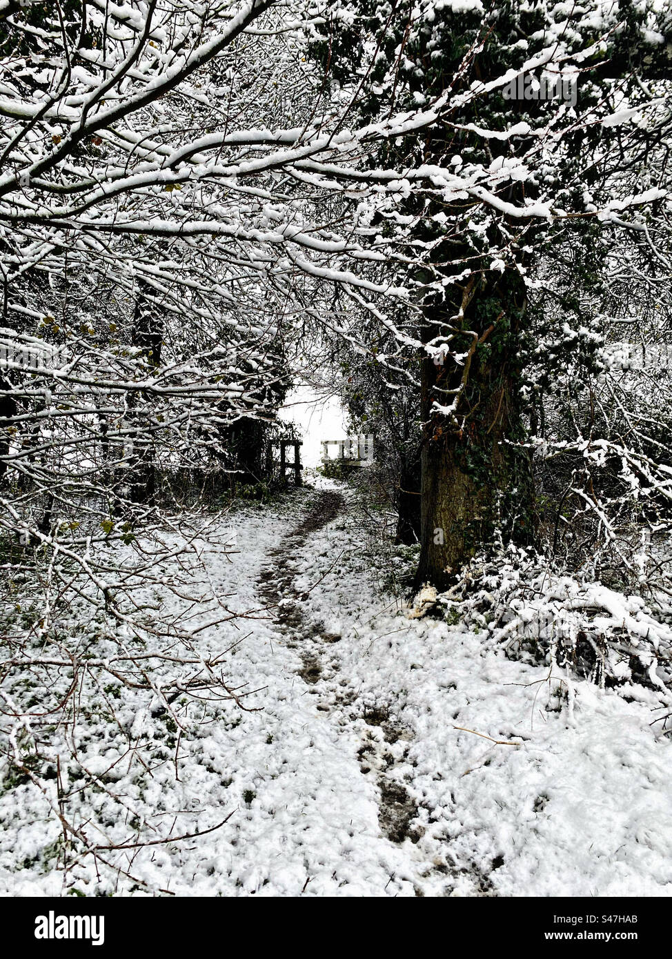 English winter hi-res stock photography and images - Alamy