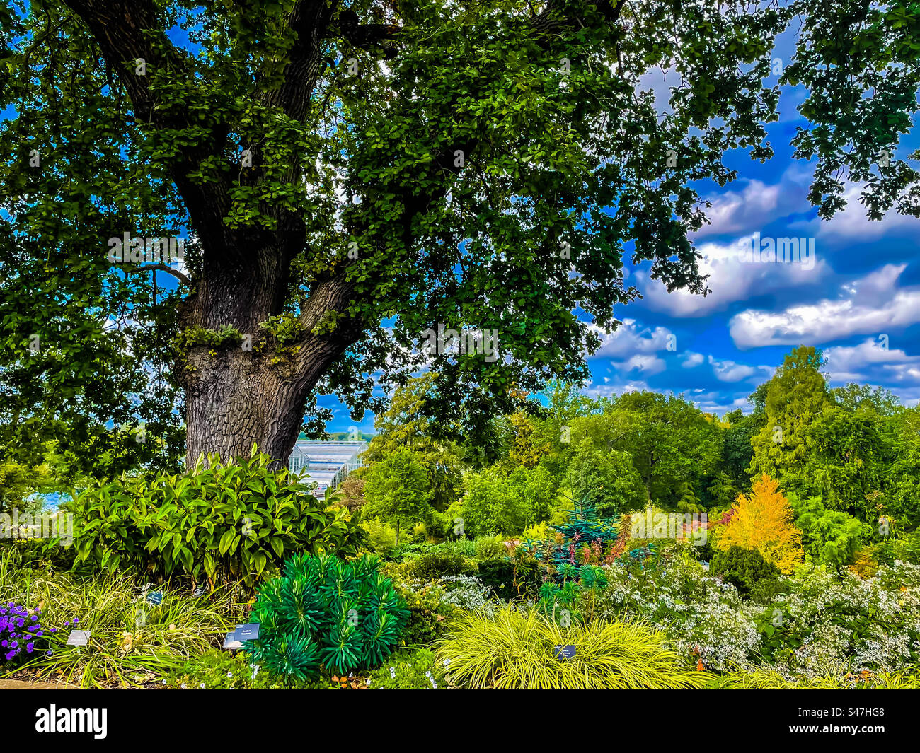 Rhs wisley rock garden hi-res stock photography and images - Alamy