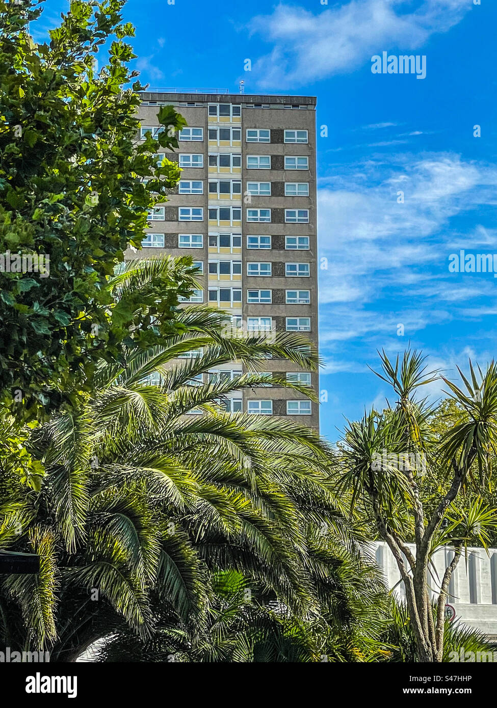 Palm trees and high rises Stock Photo - Alamy