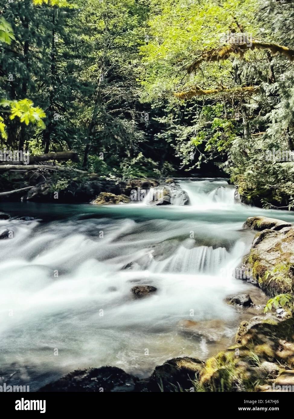 Pacific Northwest forest river waterfall Stock Photo - Alamy