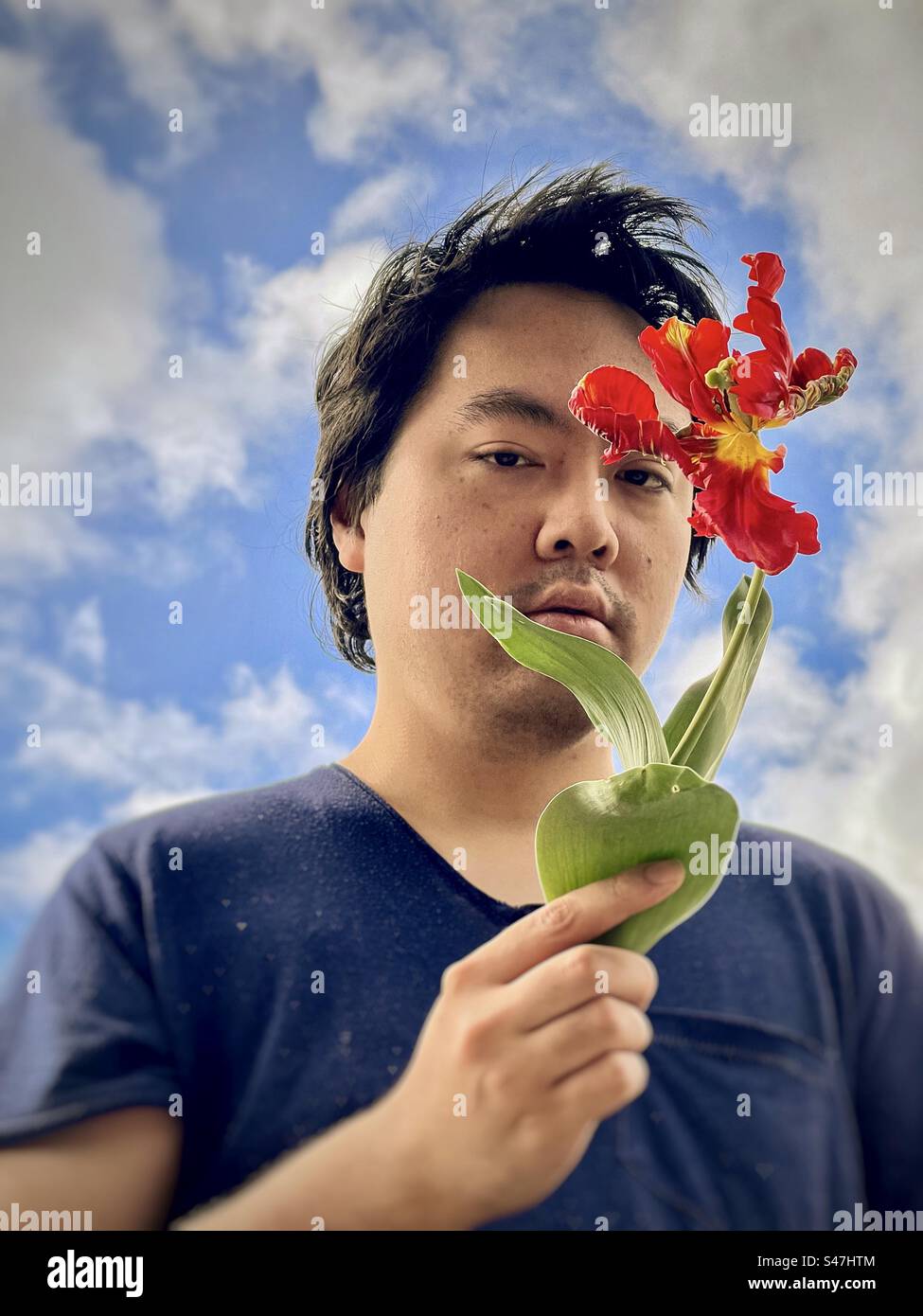 Portrait of young Asian man holding a red parrot tulip flower, framed ...