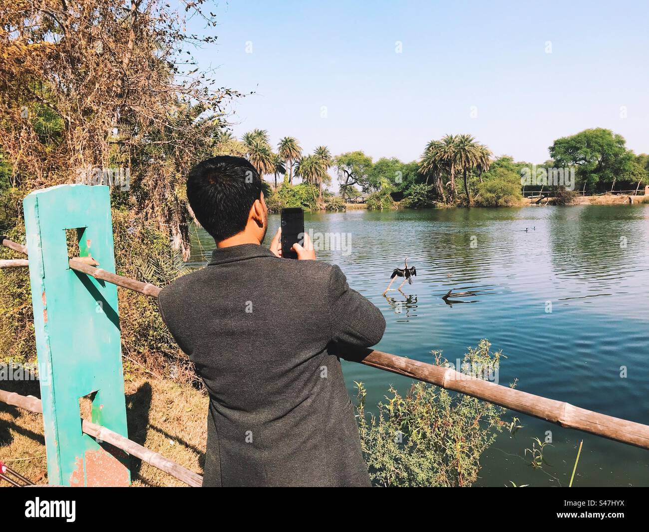 A man photographing a darter bird with his mobile phone Stock Photo - Alamy