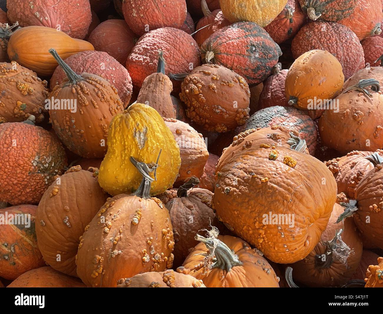 Bumpy hi-res stock photography and images - Alamy