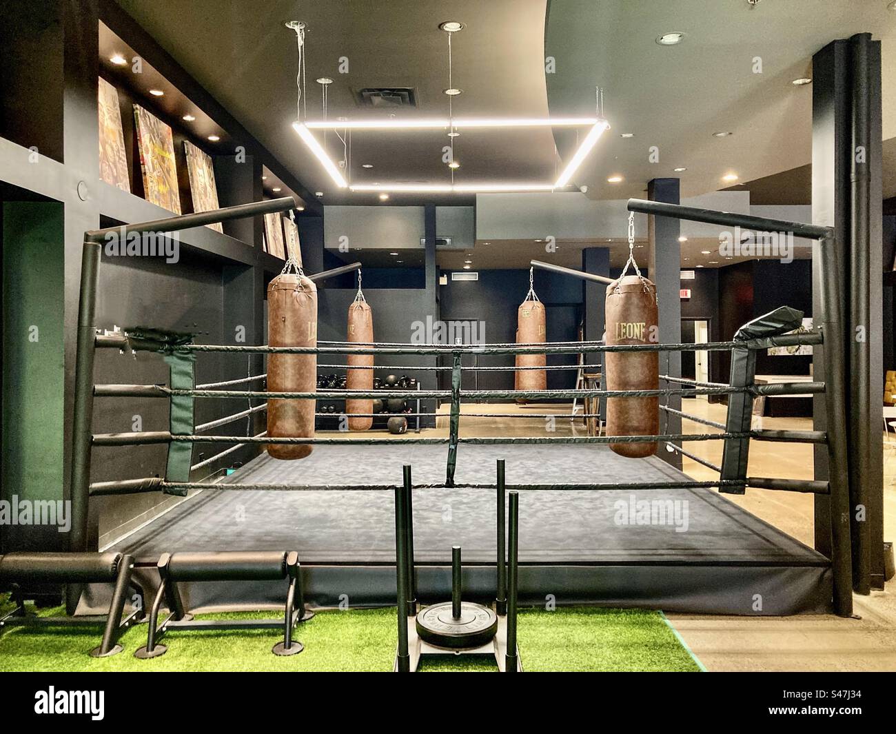 Indoor gym boxing ring Stock Photo - Alamy Indoor gym boxing ring Stock Photo - Alamy