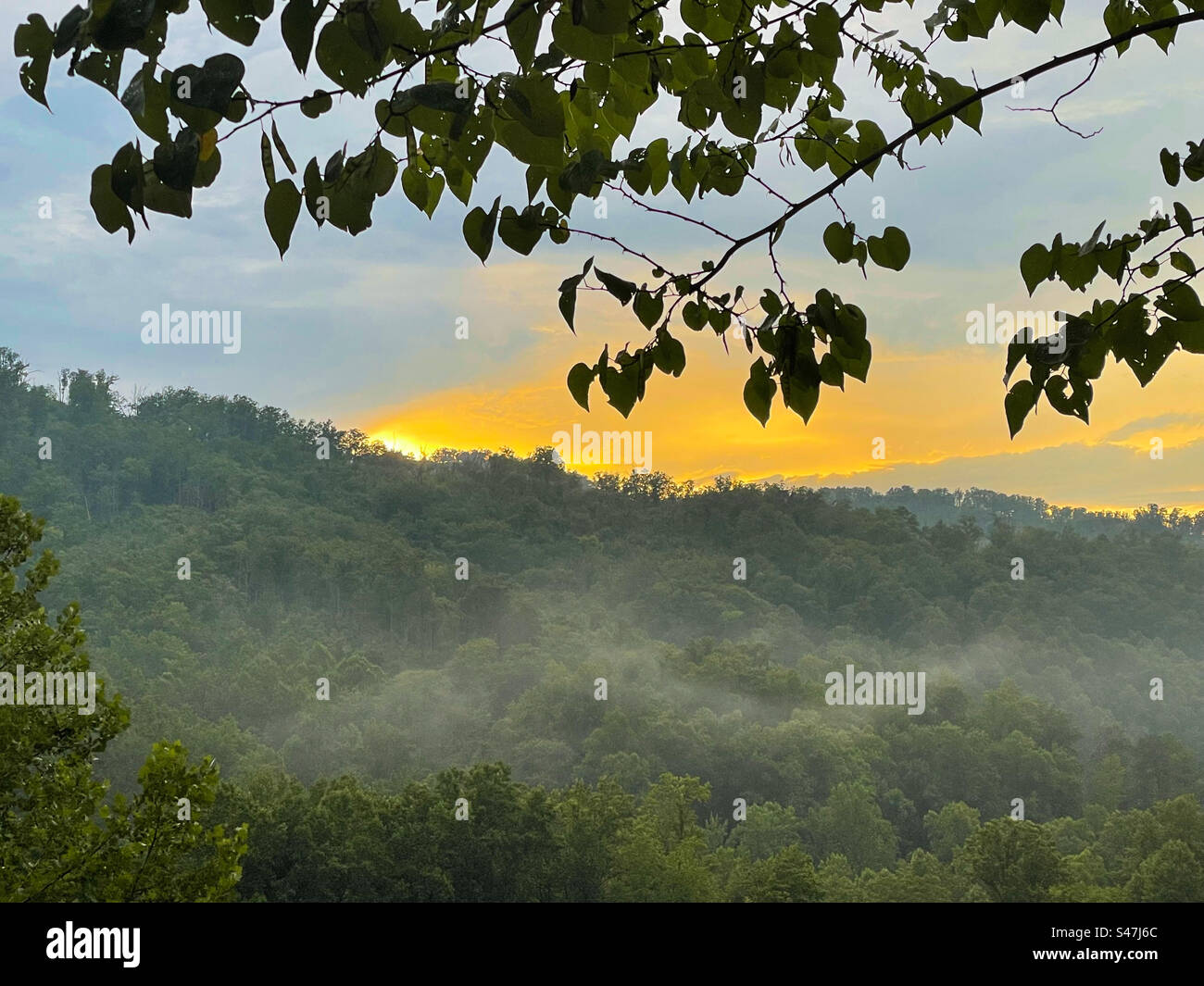 Tennessee smokies hi-res stock photography and images - Alamy