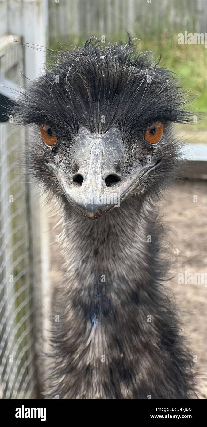 Spiky hair hi-res stock photography and images - Alamy