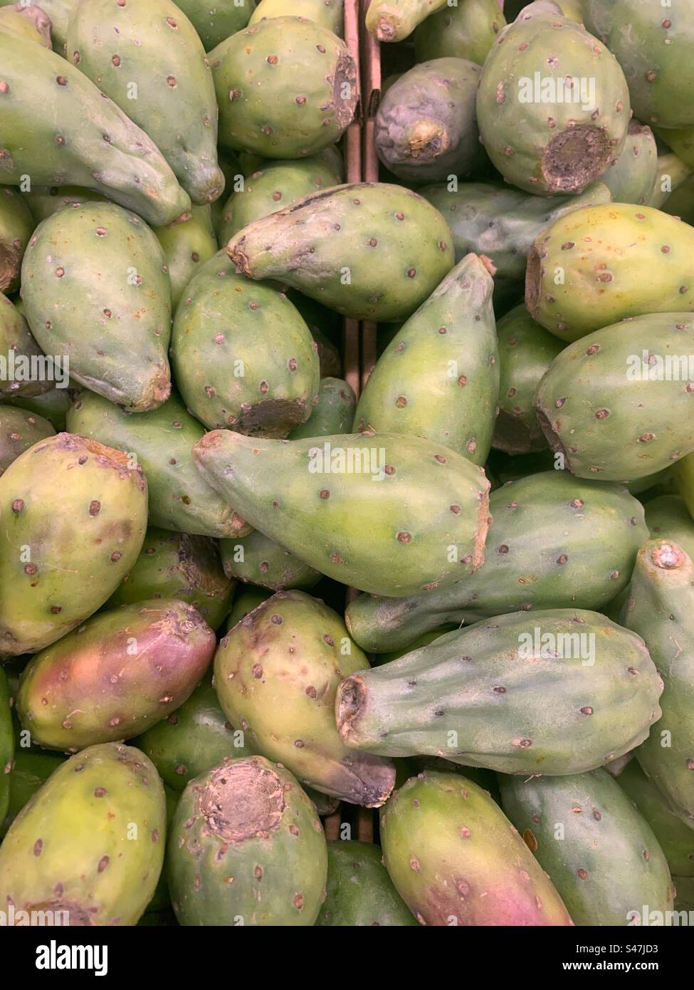 Delicious fresh prickly pears for sale at the local farmers market ...