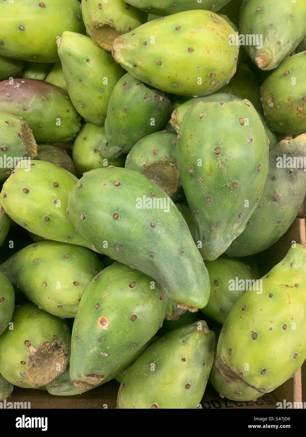 Fresh green prickly pears for sale at the grocery store Stock Photo - Alamy