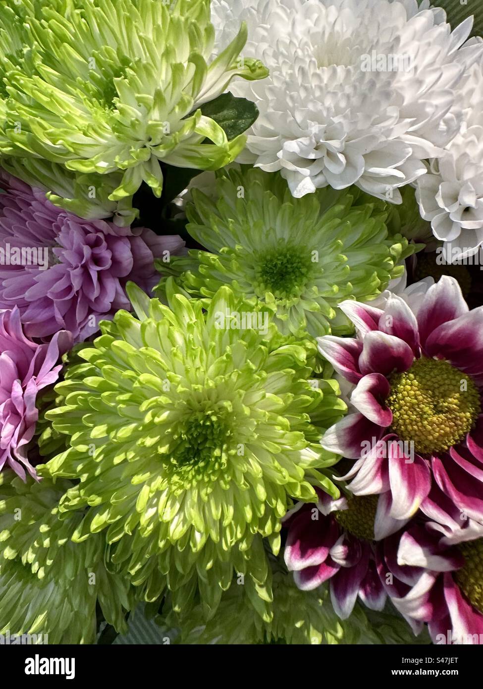 Just flowers hi-res stock photography and images - Alamy