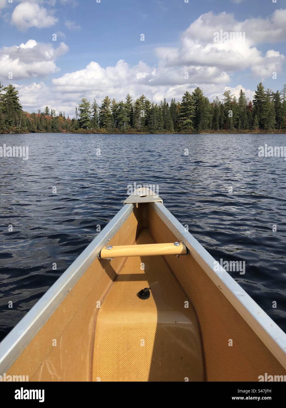 Canoe lake algonquin park hi-res stock photography and images - Alamy