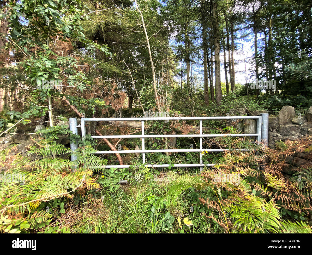 Gate with plants hi-res stock photography and images - Alamy