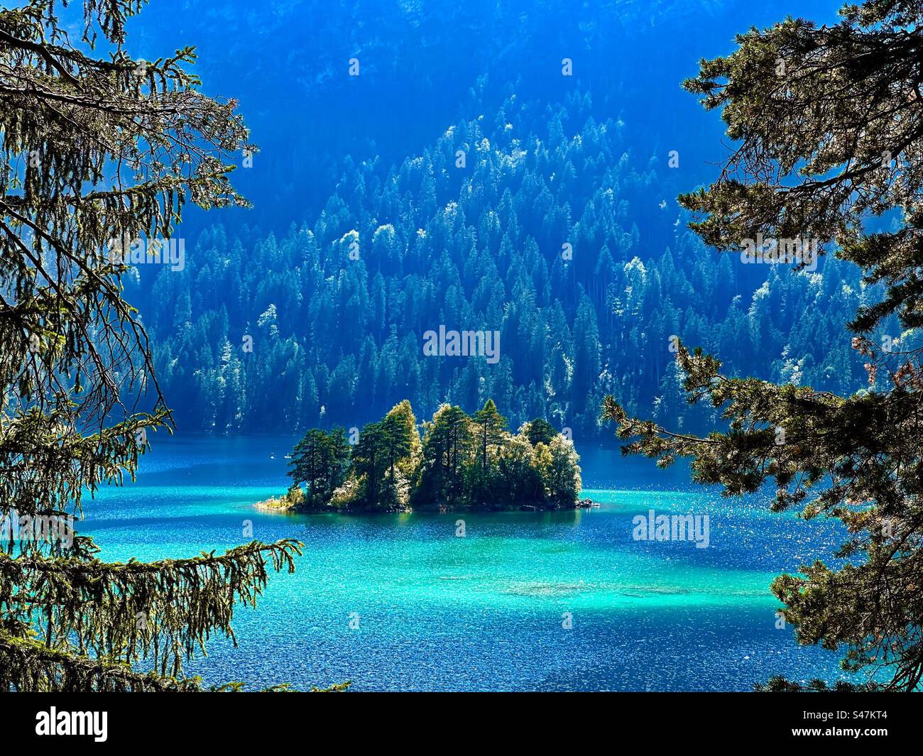 Island with forest in lake Stock Photo - Alamy