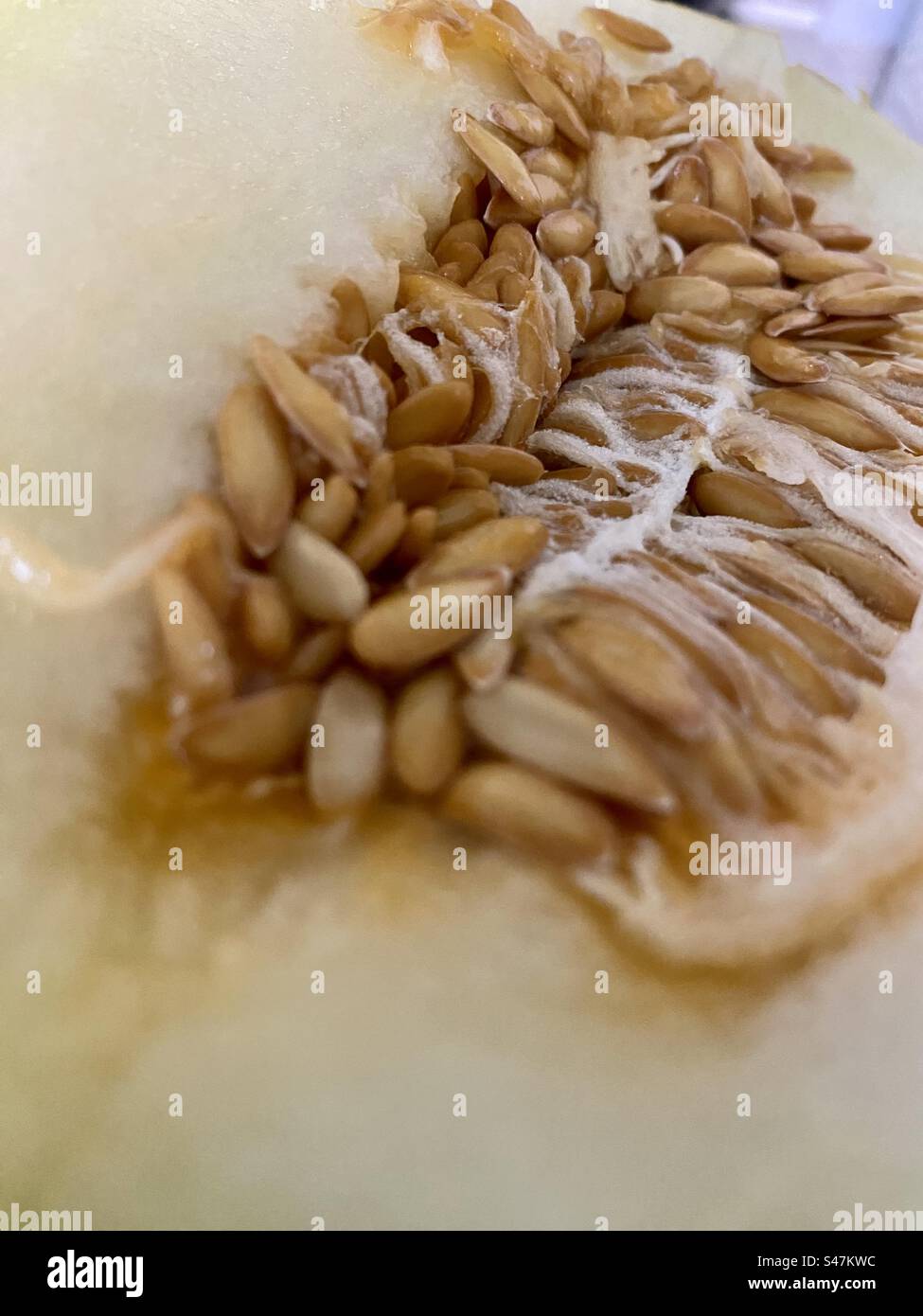 Oval melon hi-res stock photography and images - Alamy