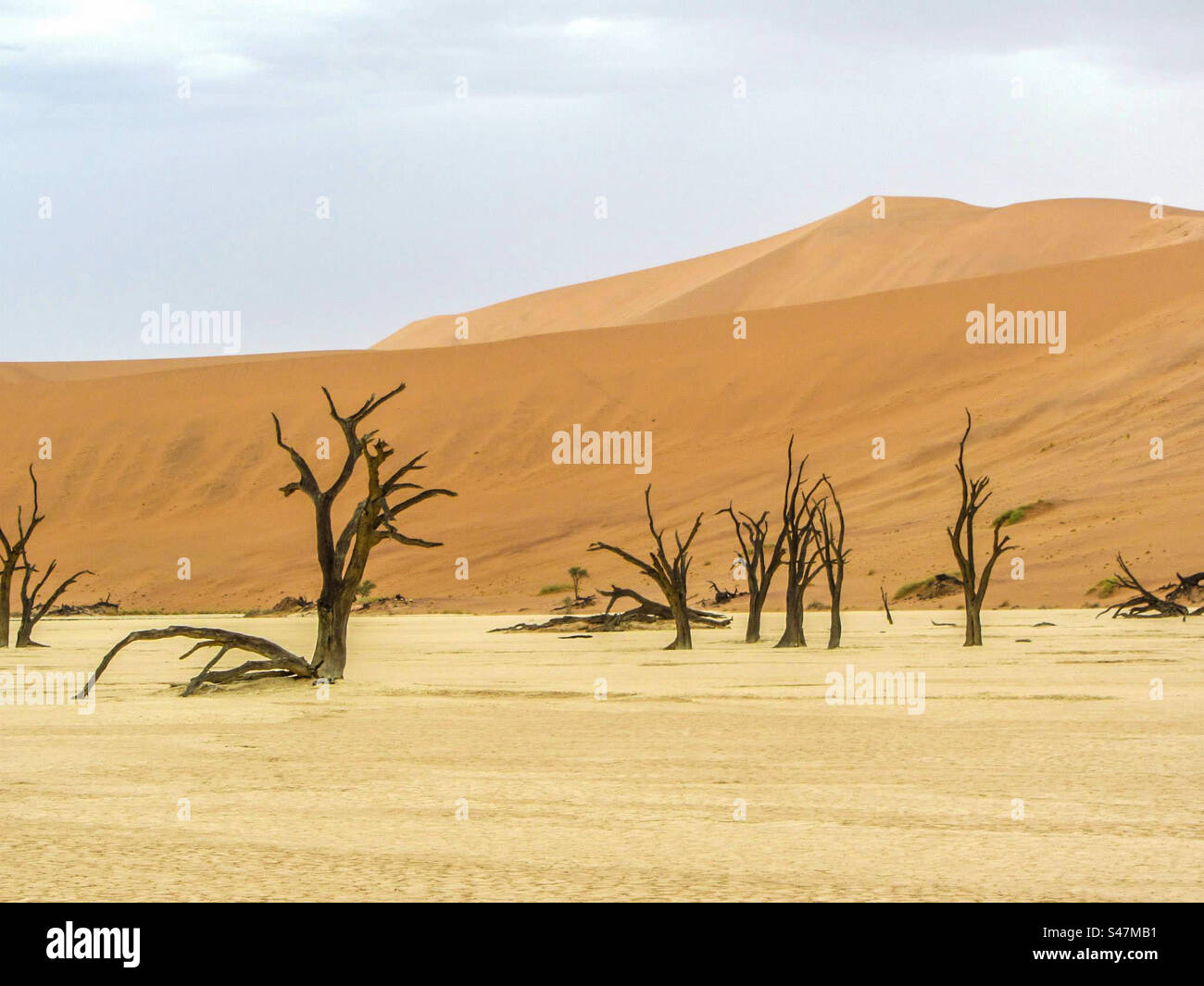 Deadvlei (dead marsh) in Namibia, Africa Stock Photo - Alamy