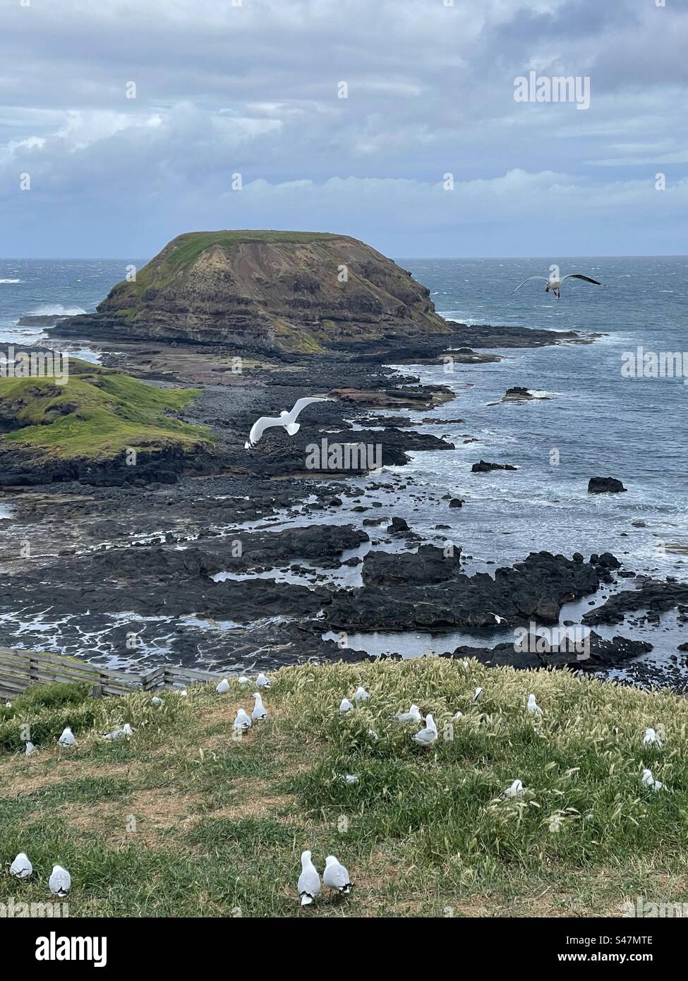 Rocky outcrop in ocean hi-res stock photography and images - Alamy