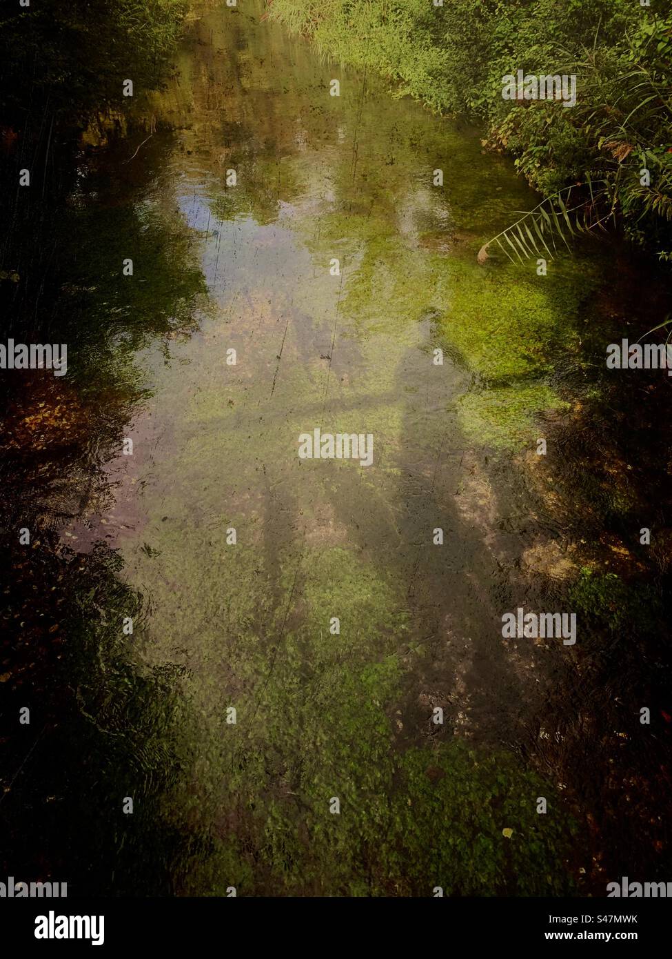 Lost in nature- a silhouette figure of a man standing on a small bridge ...