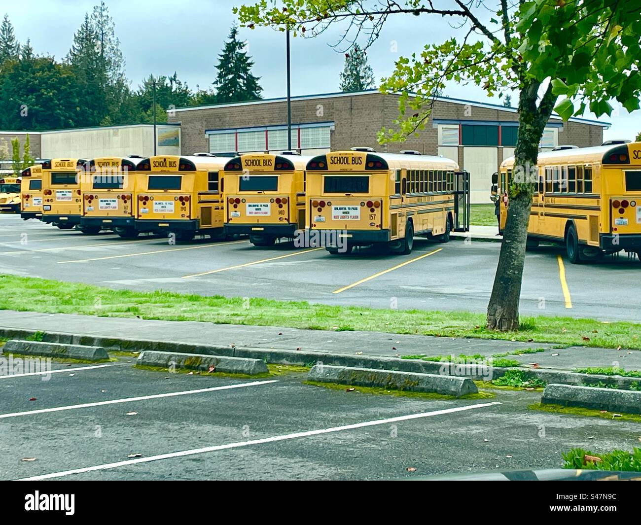 Big yellow school bus hi-res stock photography and images - Alamy