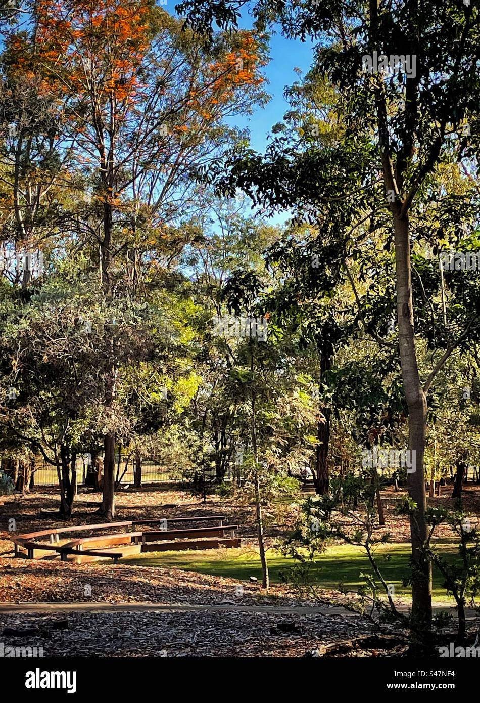 Round amphitheatre hi-res stock photography and images - Alamy