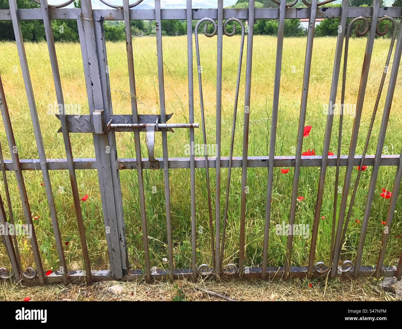 Gate closed horizontal hi-res stock photography and images - Alamy