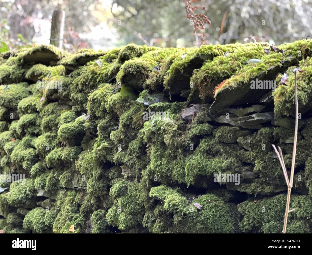 Miss wall hi-res stock photography and images - Alamy