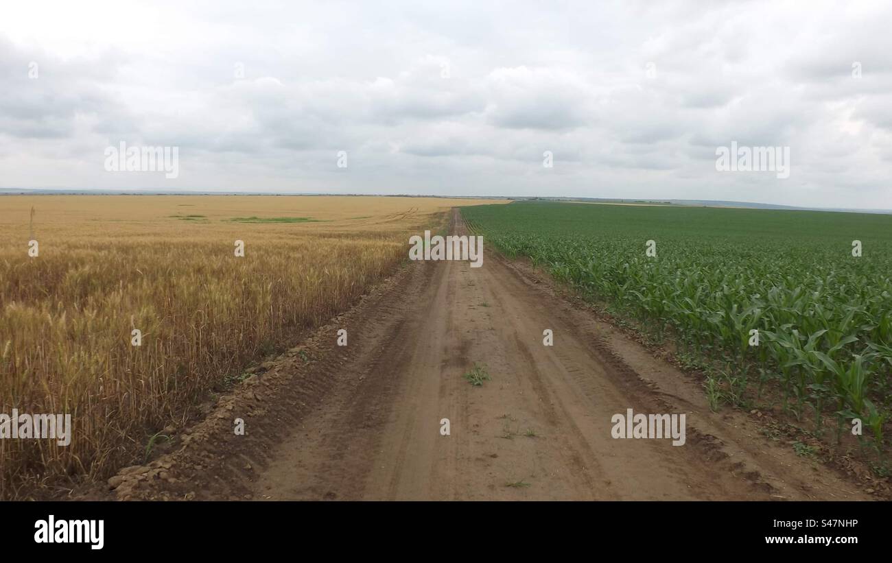 Two split field Stock Photo - Alamy