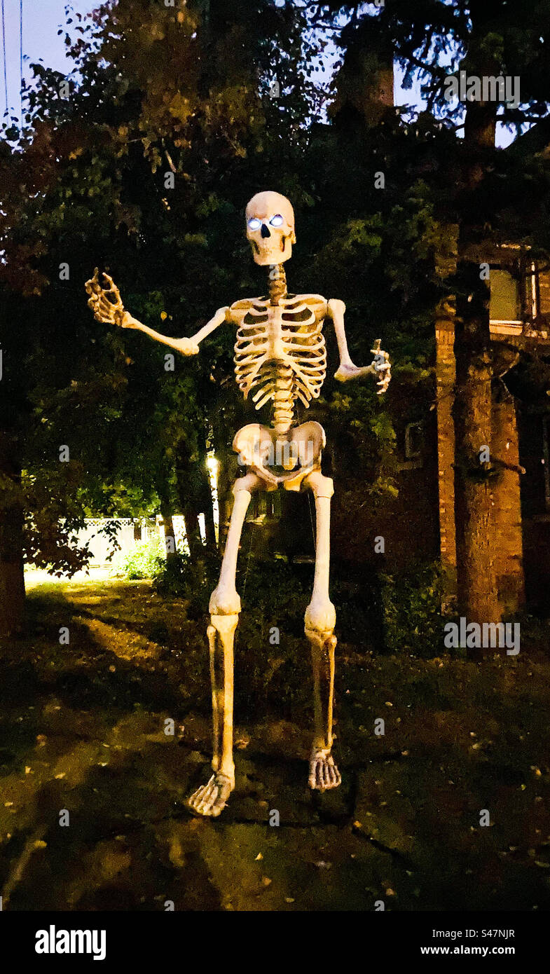 A three metre skeleton reaches out at people passing by Stock Photo - Alamy