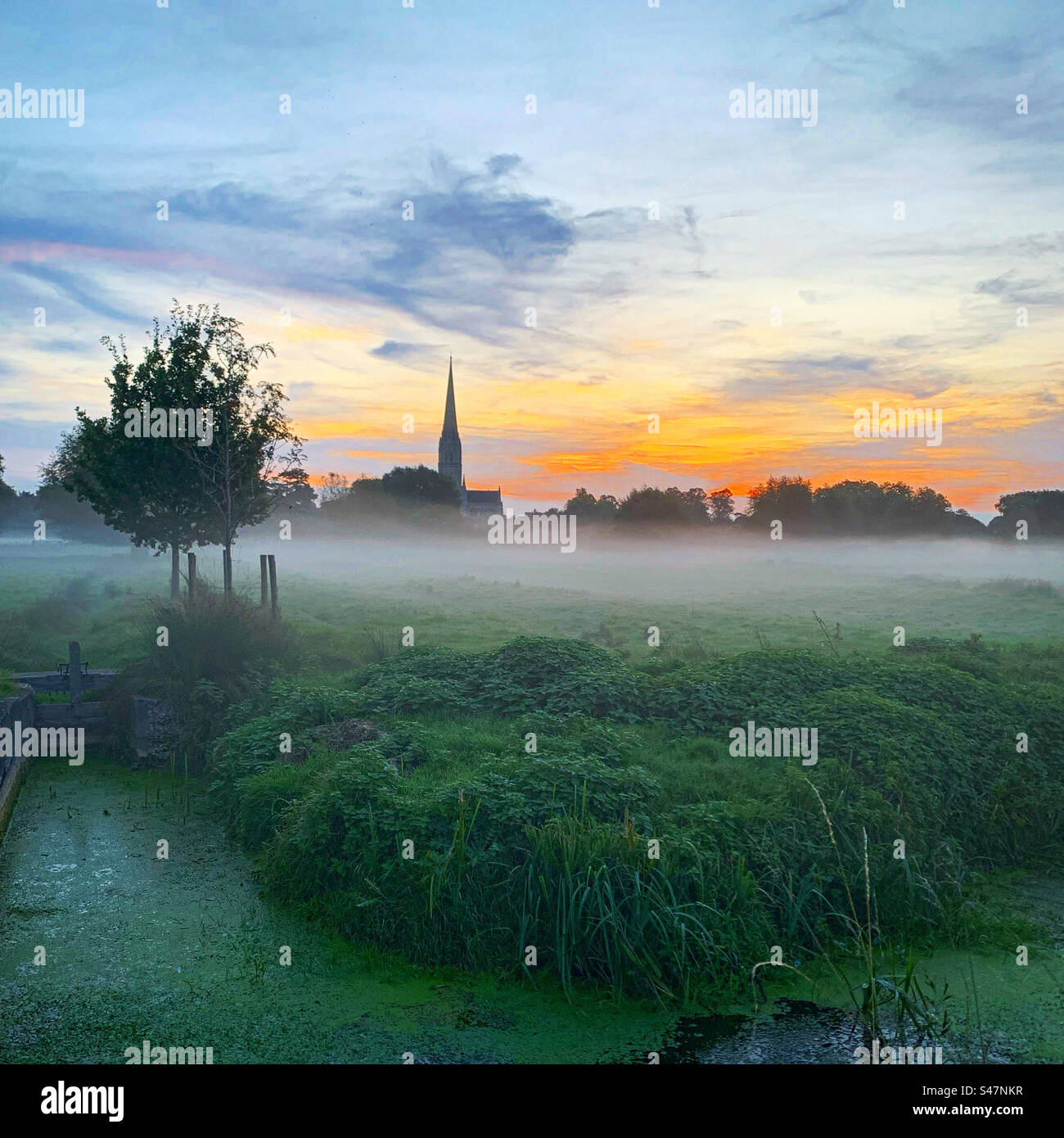 Water meadows in wiltshire hi-res stock photography and images - Alamy