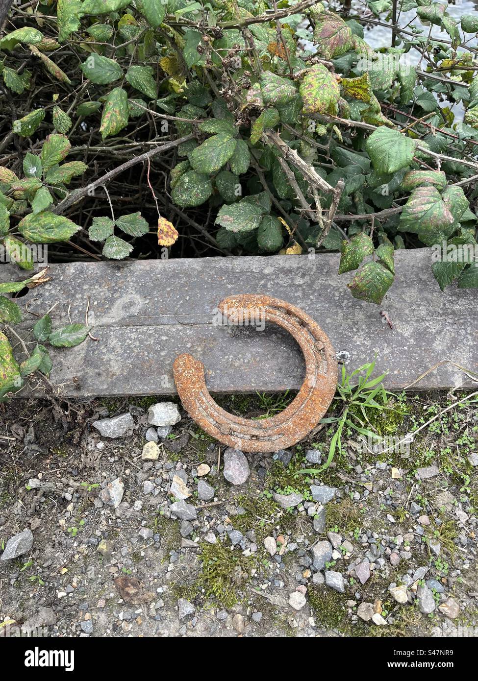 Rusty shoe hi-res stock photography and images - Alamy