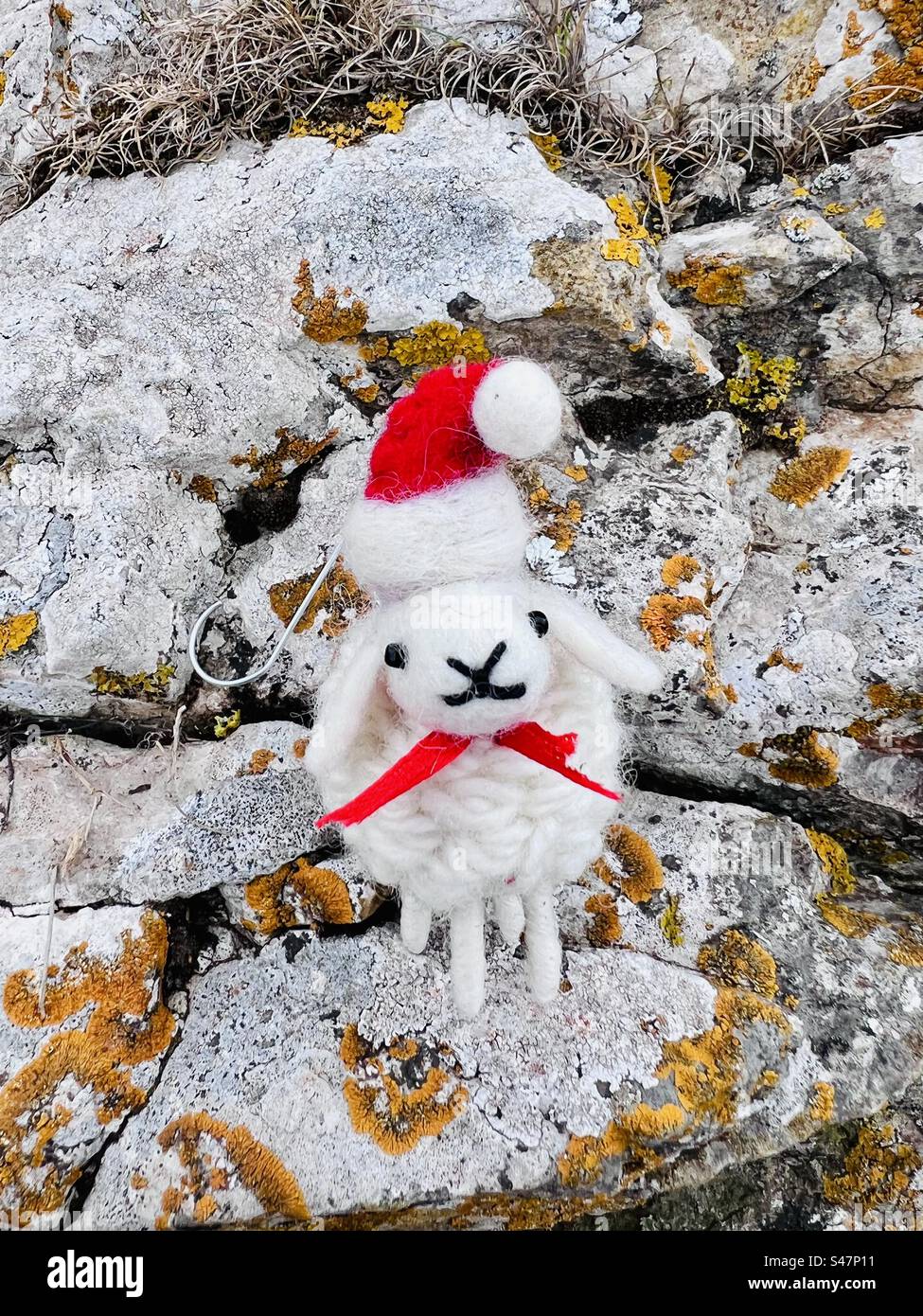 Sheep with hat hi-res stock photography and images - Alamy