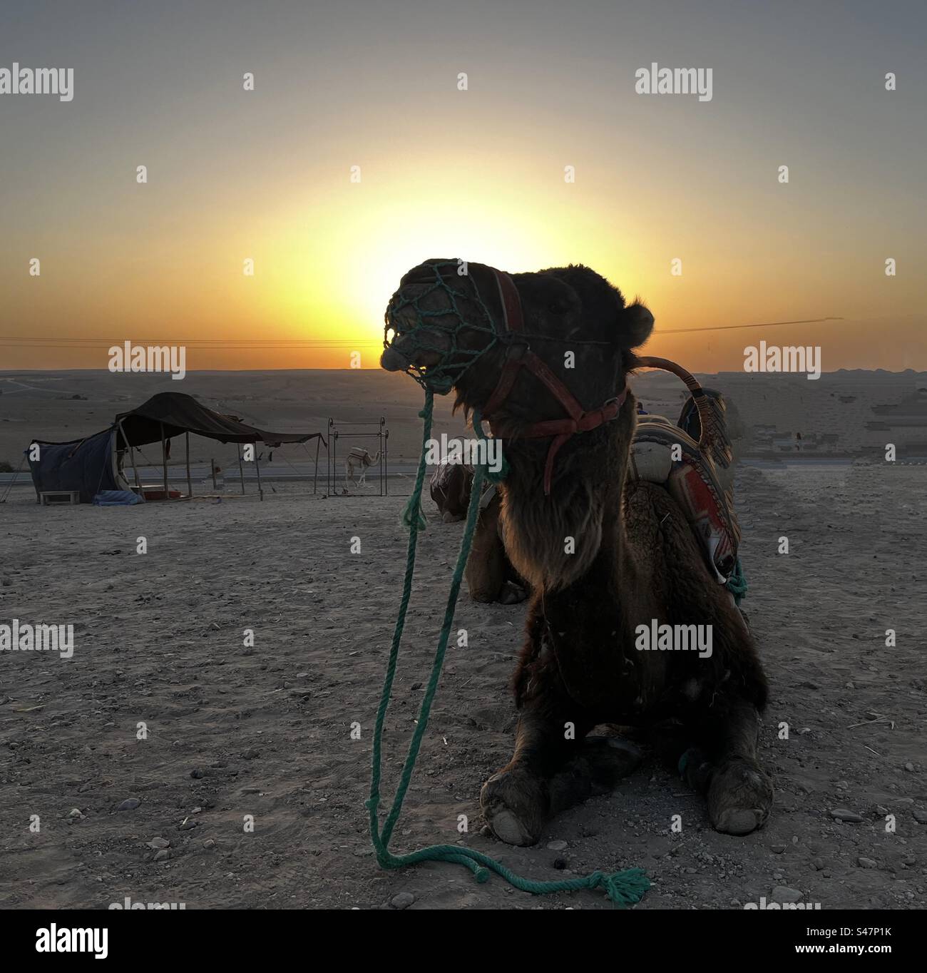 Moroccan sunset hi-res stock photography and images - Alamy