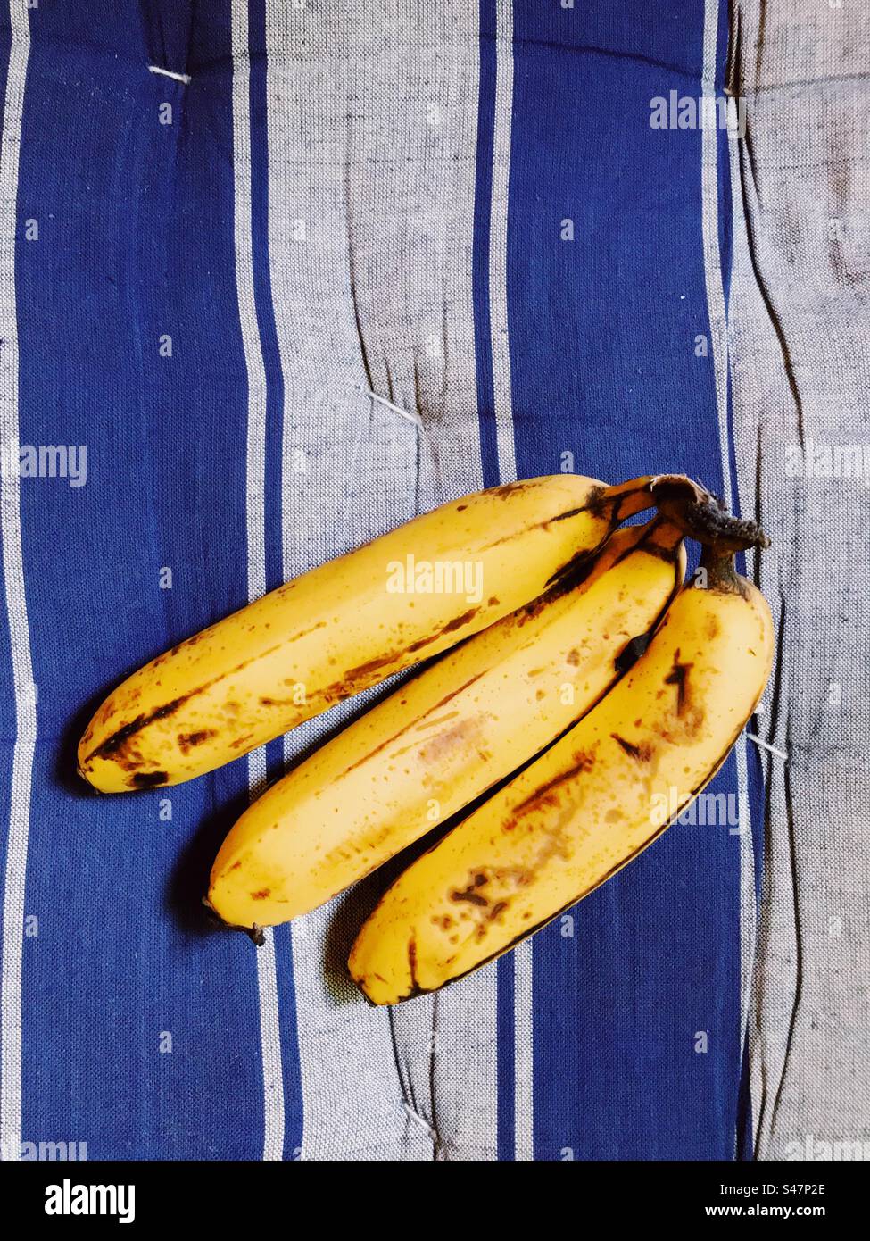 Blue bananas hi-res stock photography and images - Alamy