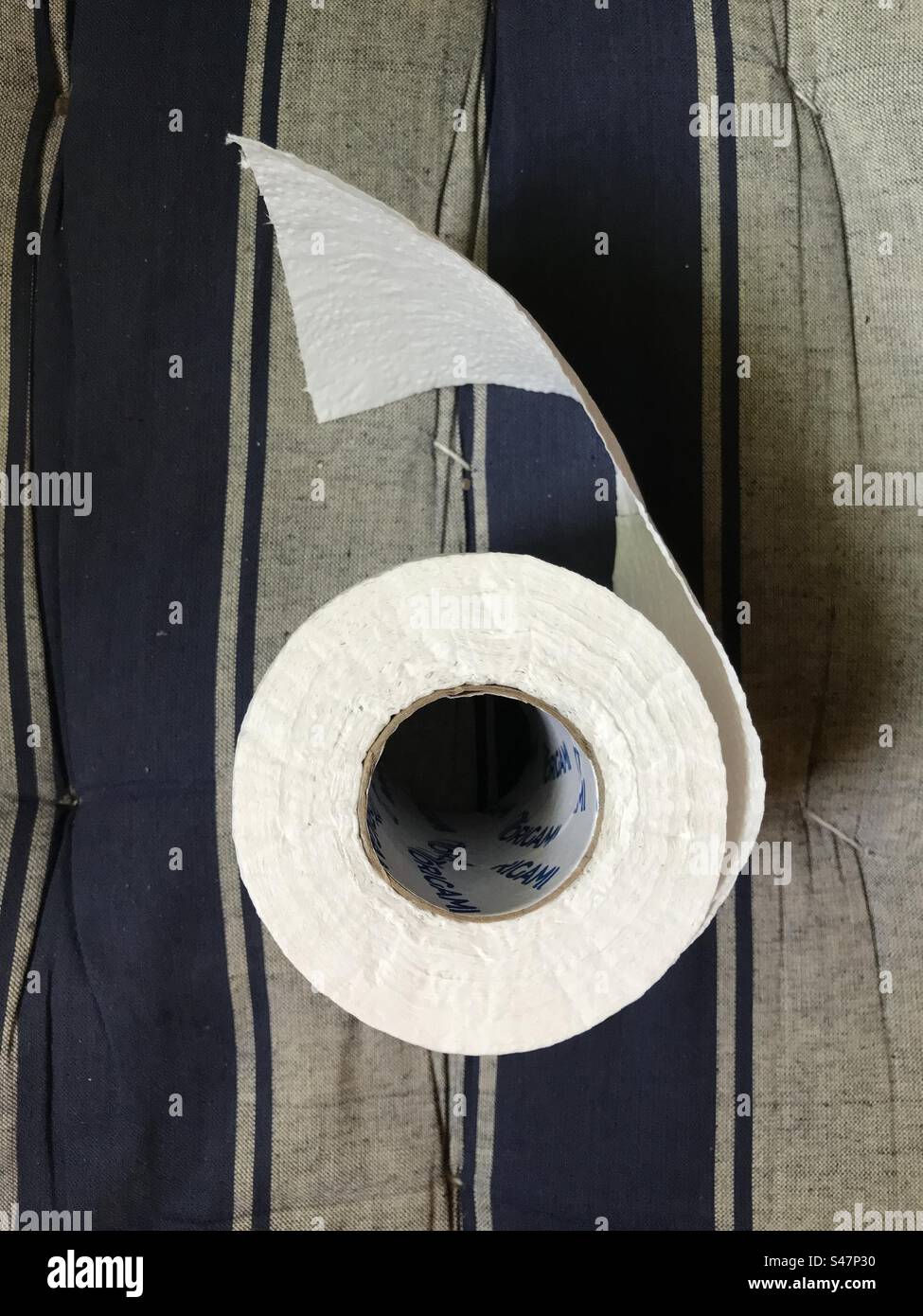 Toilet paper roll top view Stock Photo - Alamy