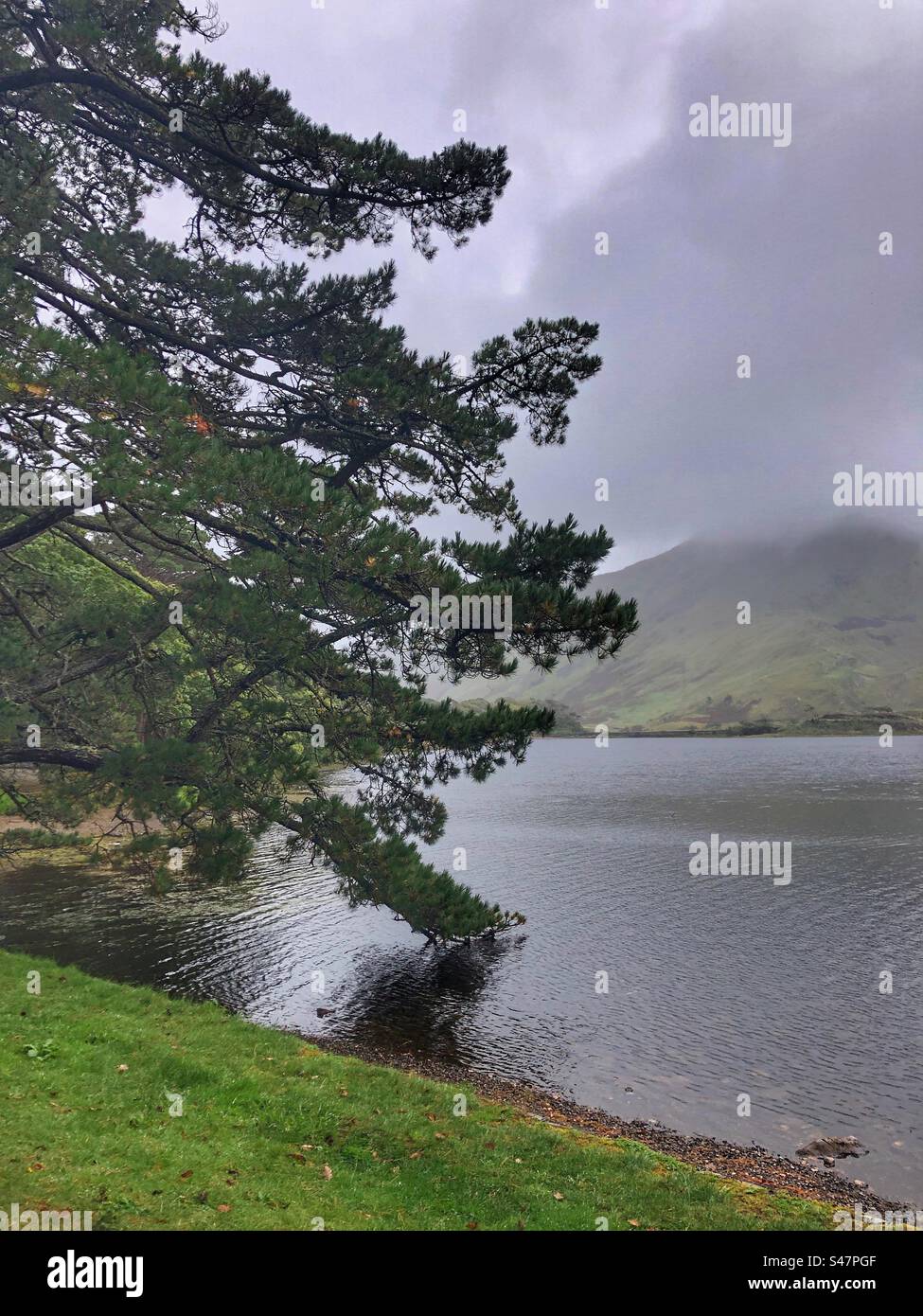 A misty day in Ireland Stock Photo - Alamy