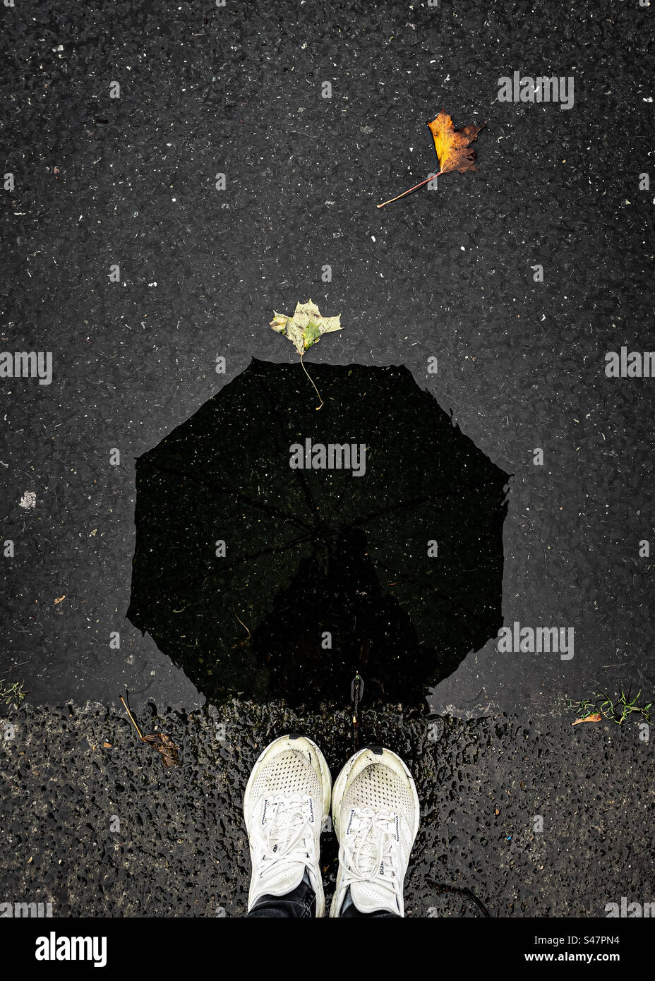 Large puddle of rain water hi-res stock photography and images - Alamy