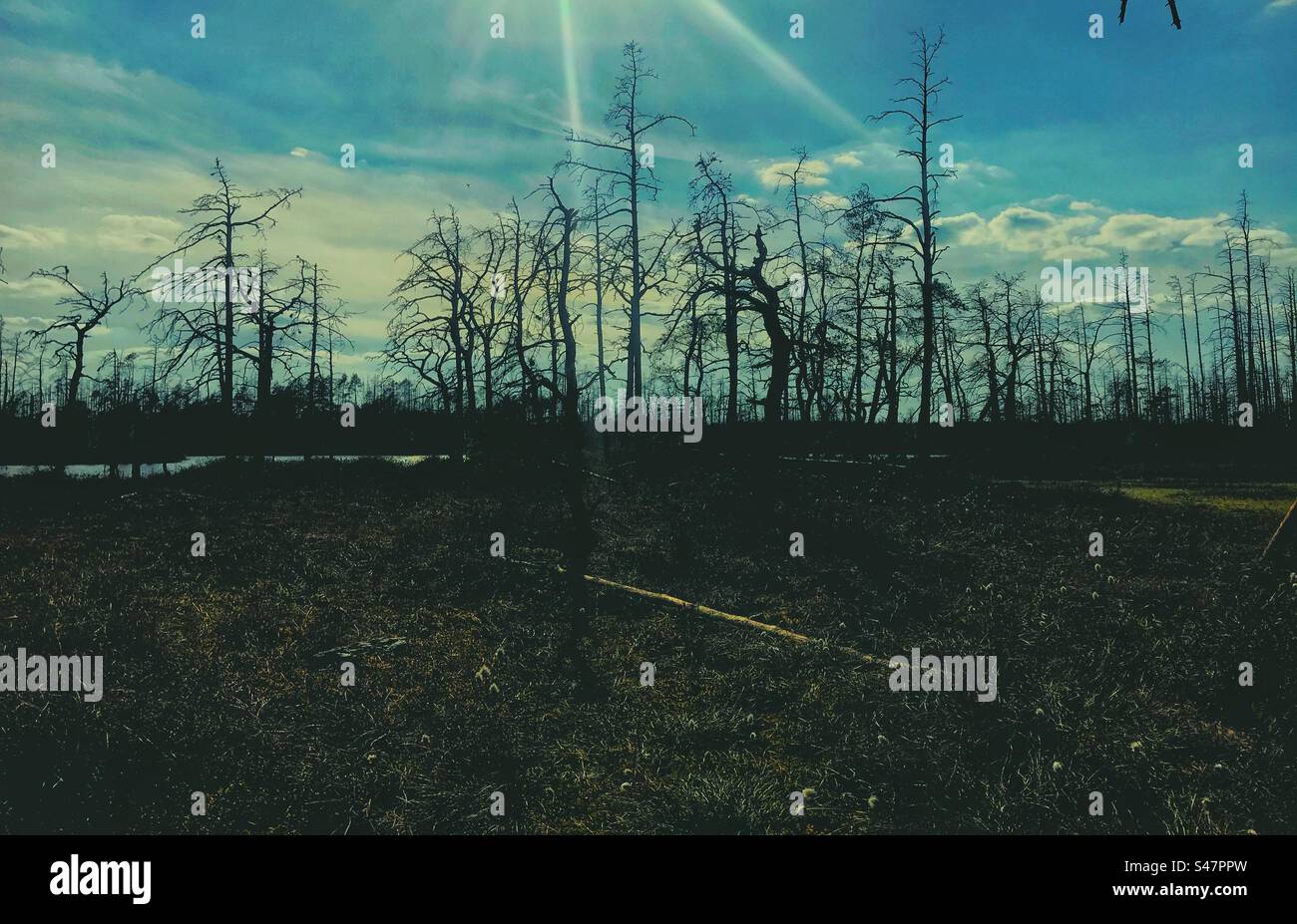 Summer slump hi-res stock photography and images - Alamy