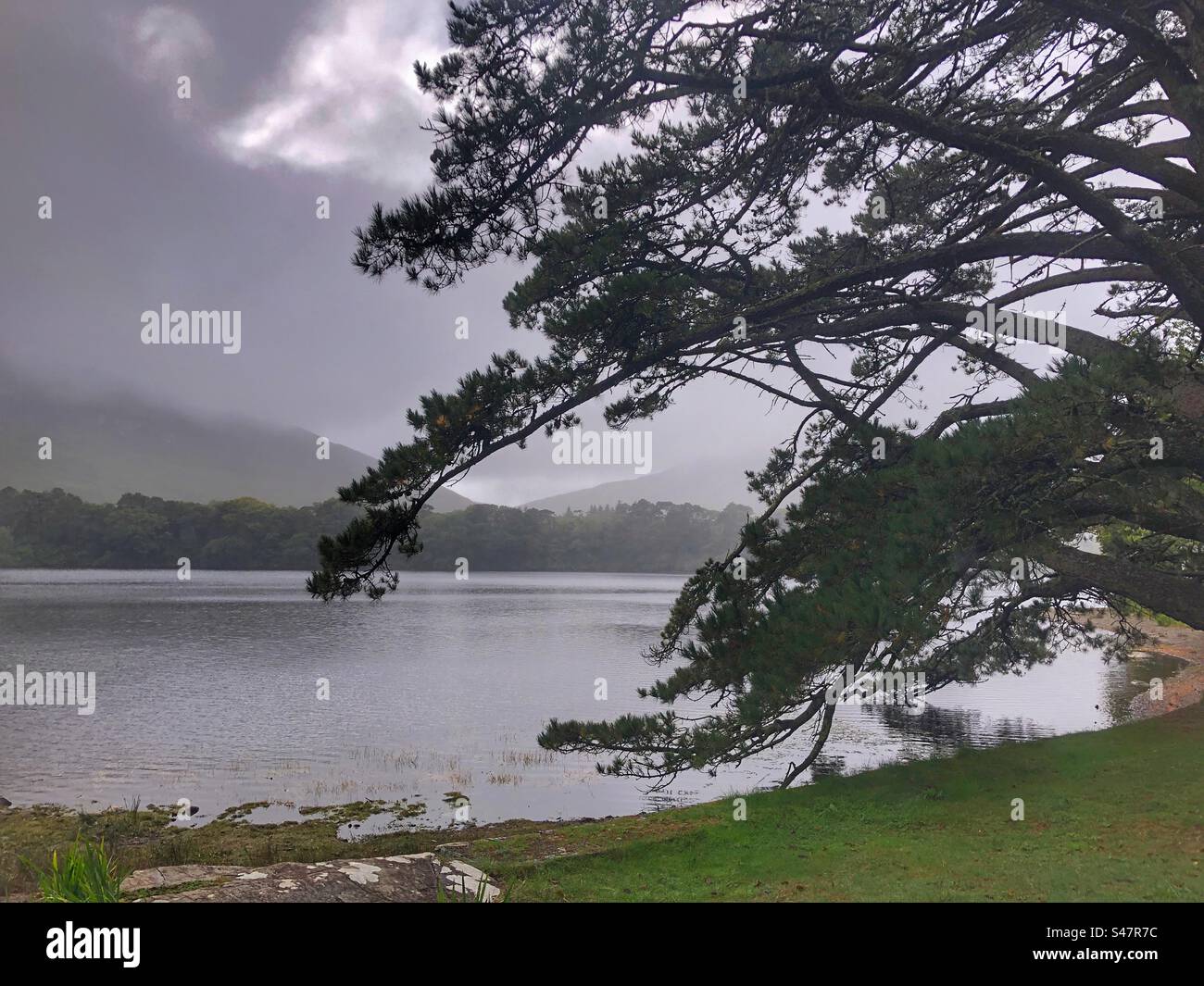 A misty day in Ireland Stock Photo - Alamy