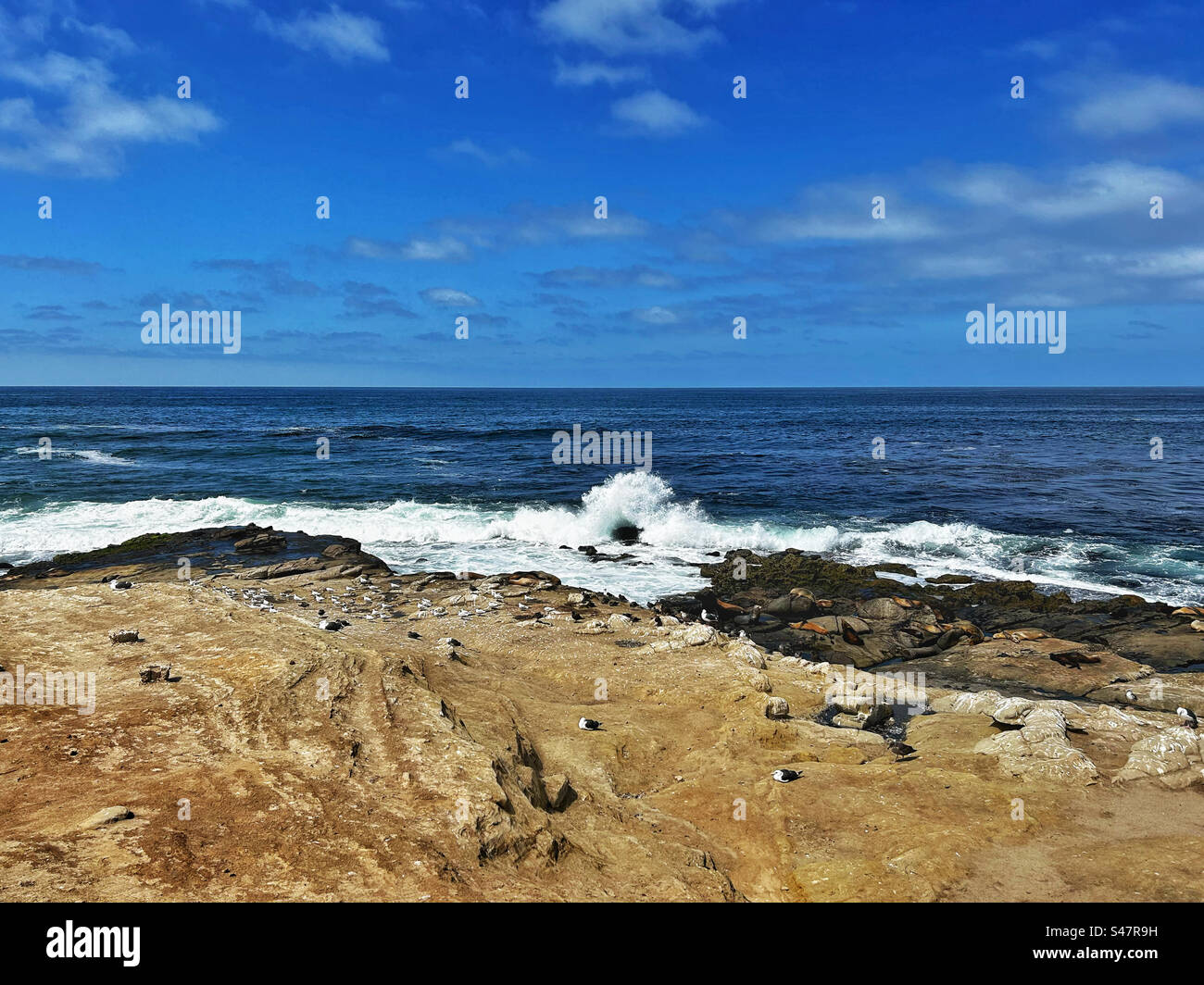 La Jolla Cove Stock Photo - Alamy