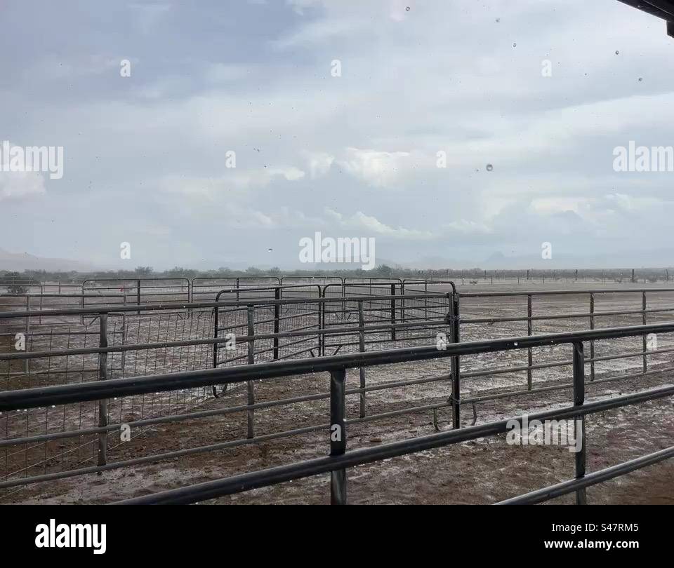 Horse cowboy rain hi-res stock photography and images - Alamy