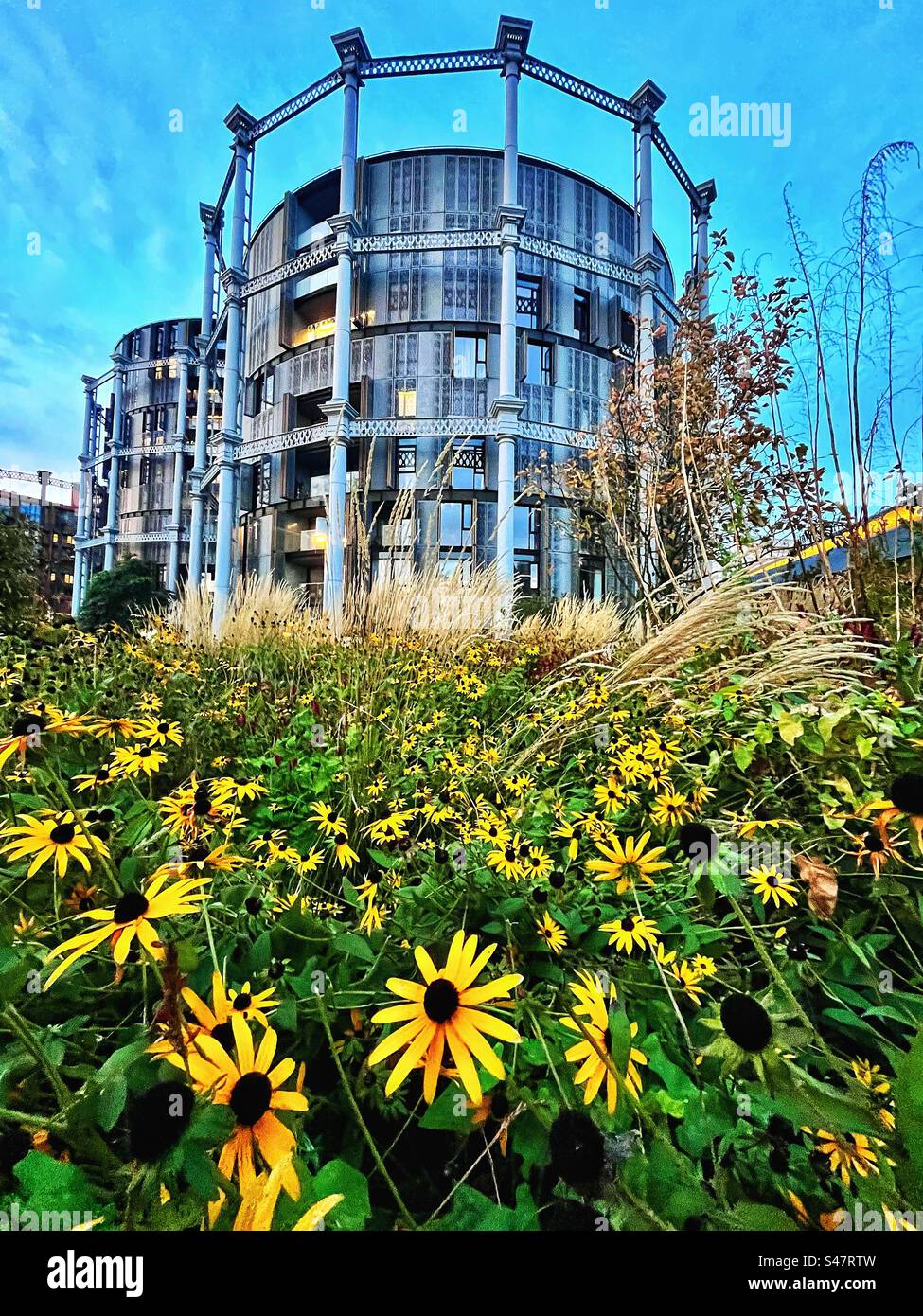 Grade II listed gasometers repurposed as residential buildings with a ...