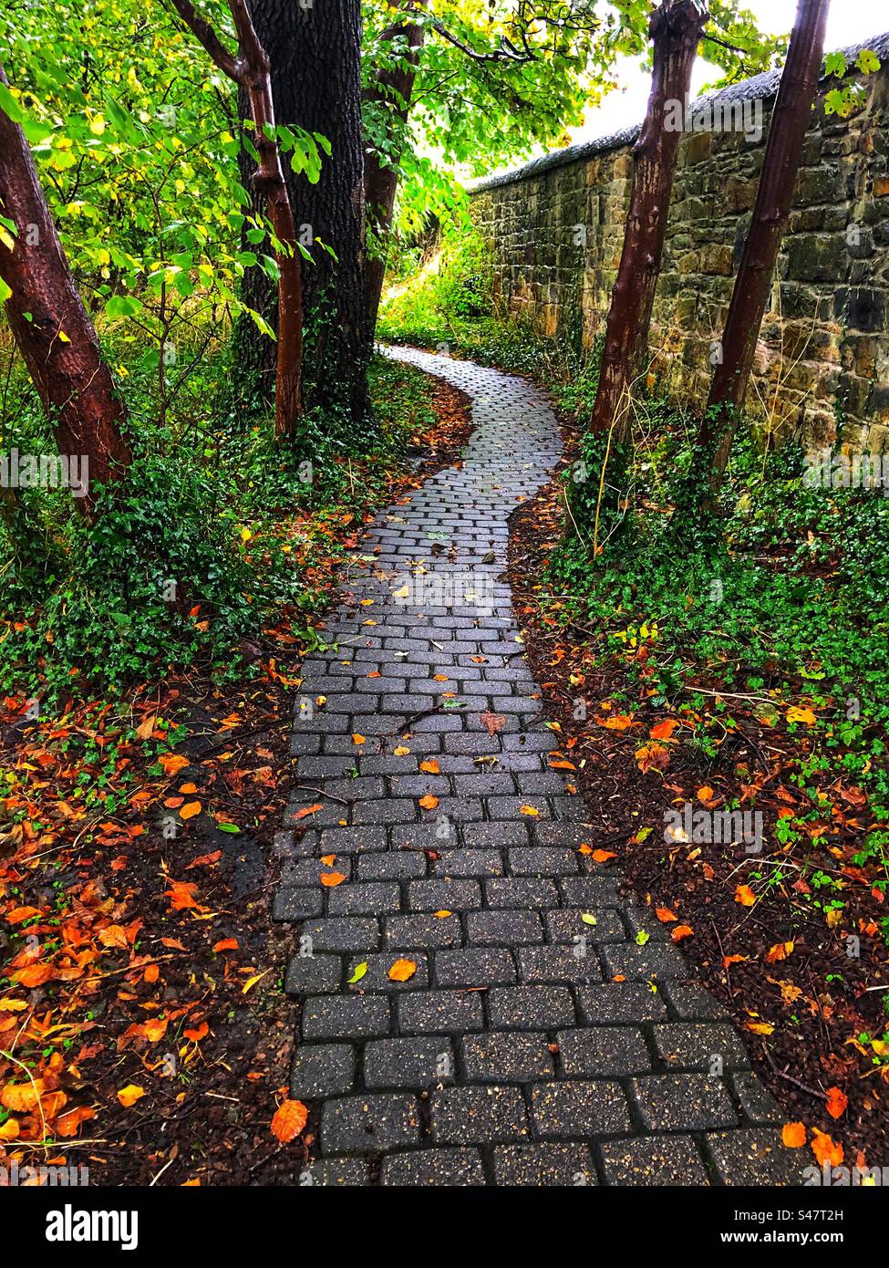Winding Path through wooded area and walled garden with autumnal leaf ...