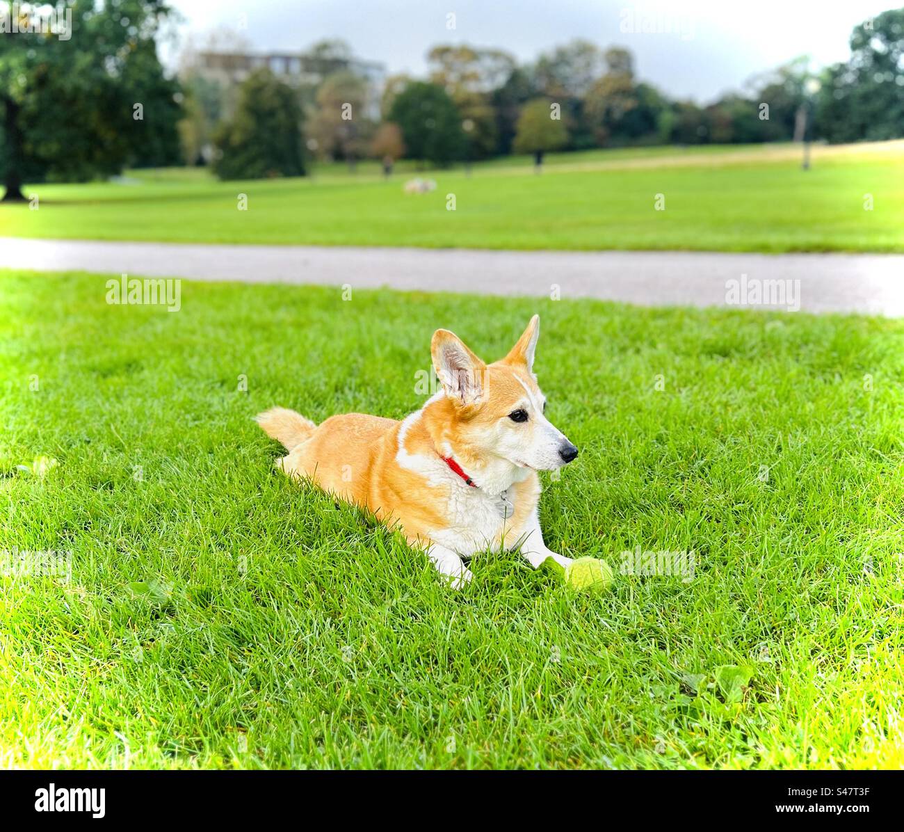 Park ball hi-res stock photography and images - Alamy
