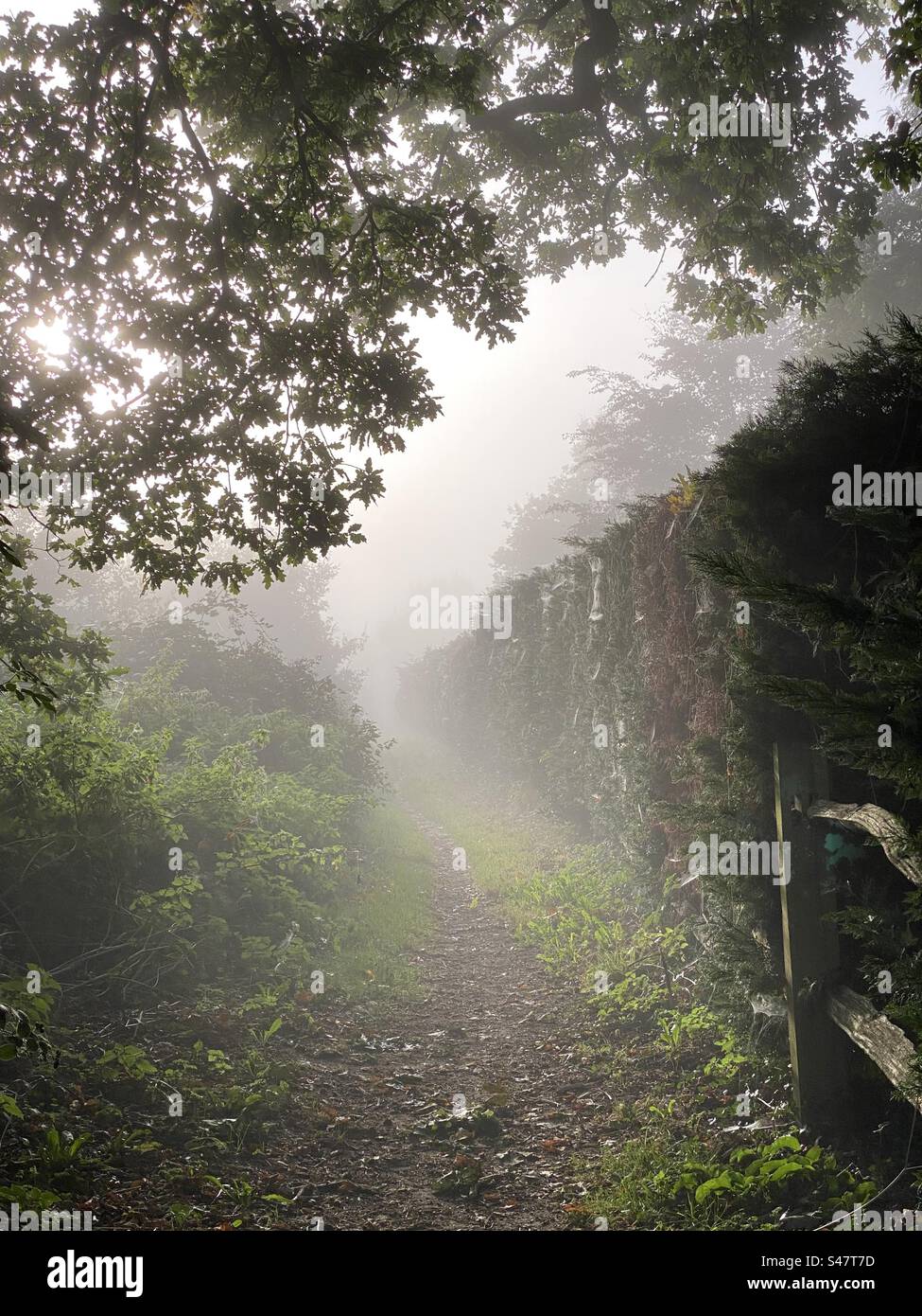 Country footpath hi-res stock photography and images - Alamy