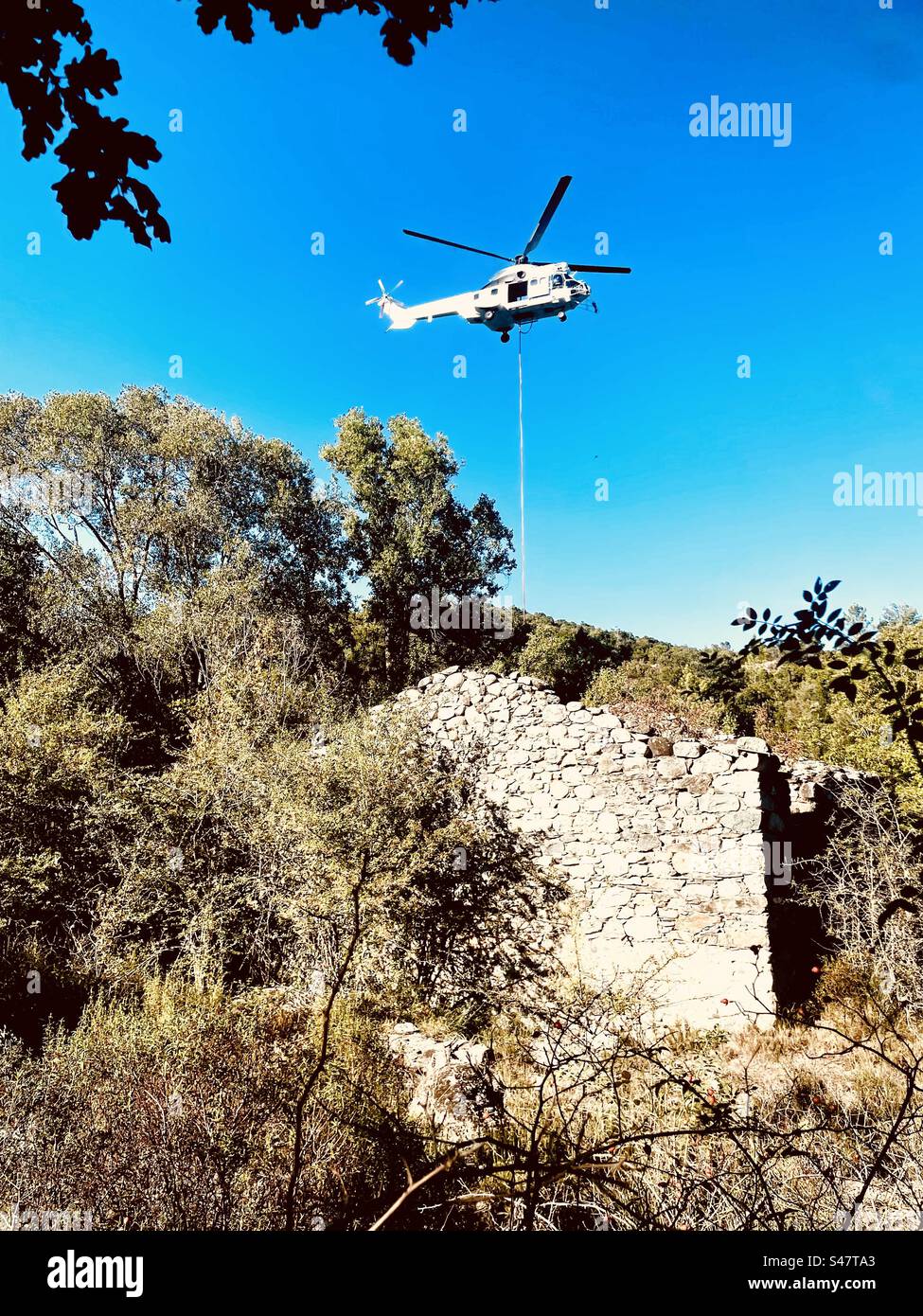 Helicopter trees hi-res stock photography and images - Alamy