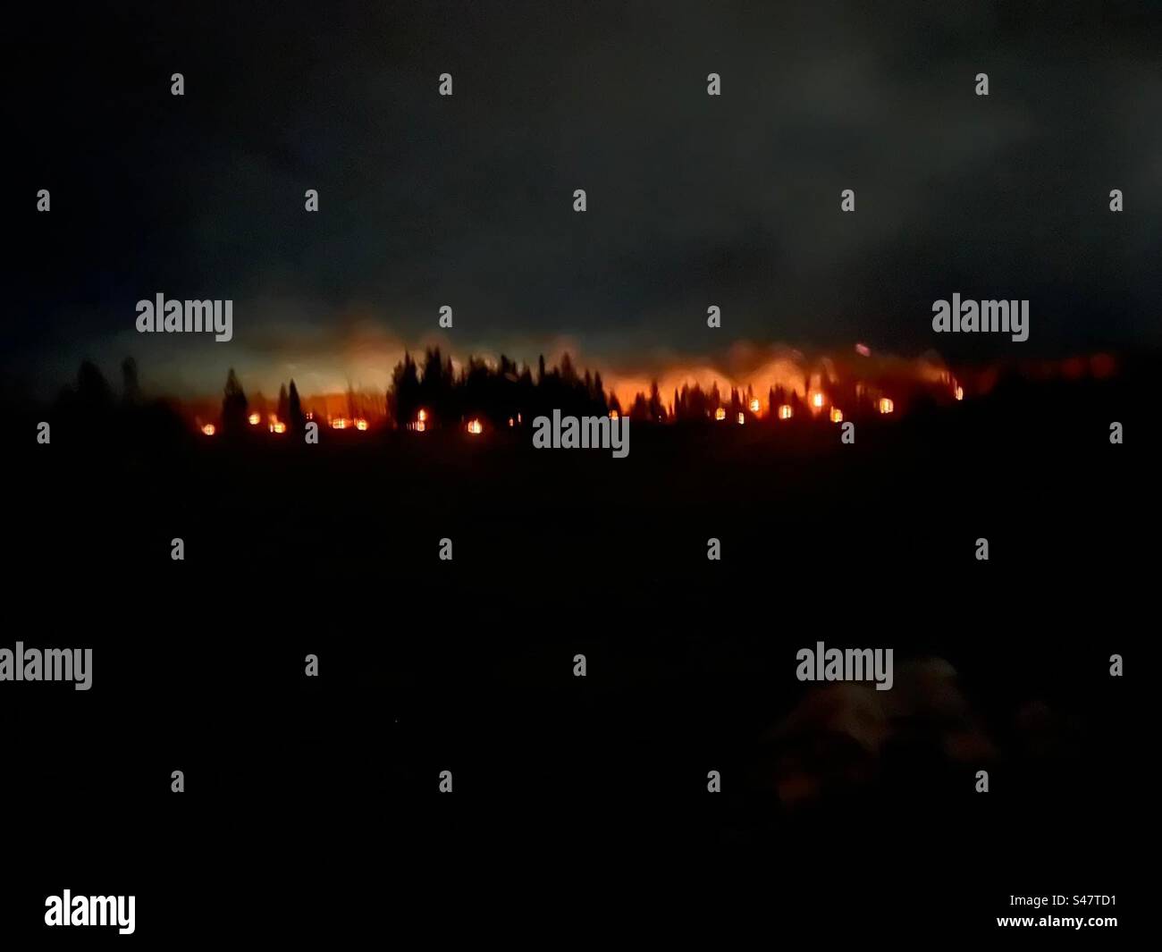 Firing burning trees hi-res stock photography and images - Alamy