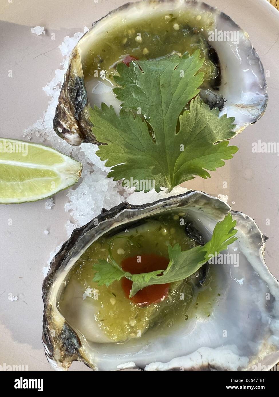 Ousters natural with cilantro leaf Stock Photo - Alamy