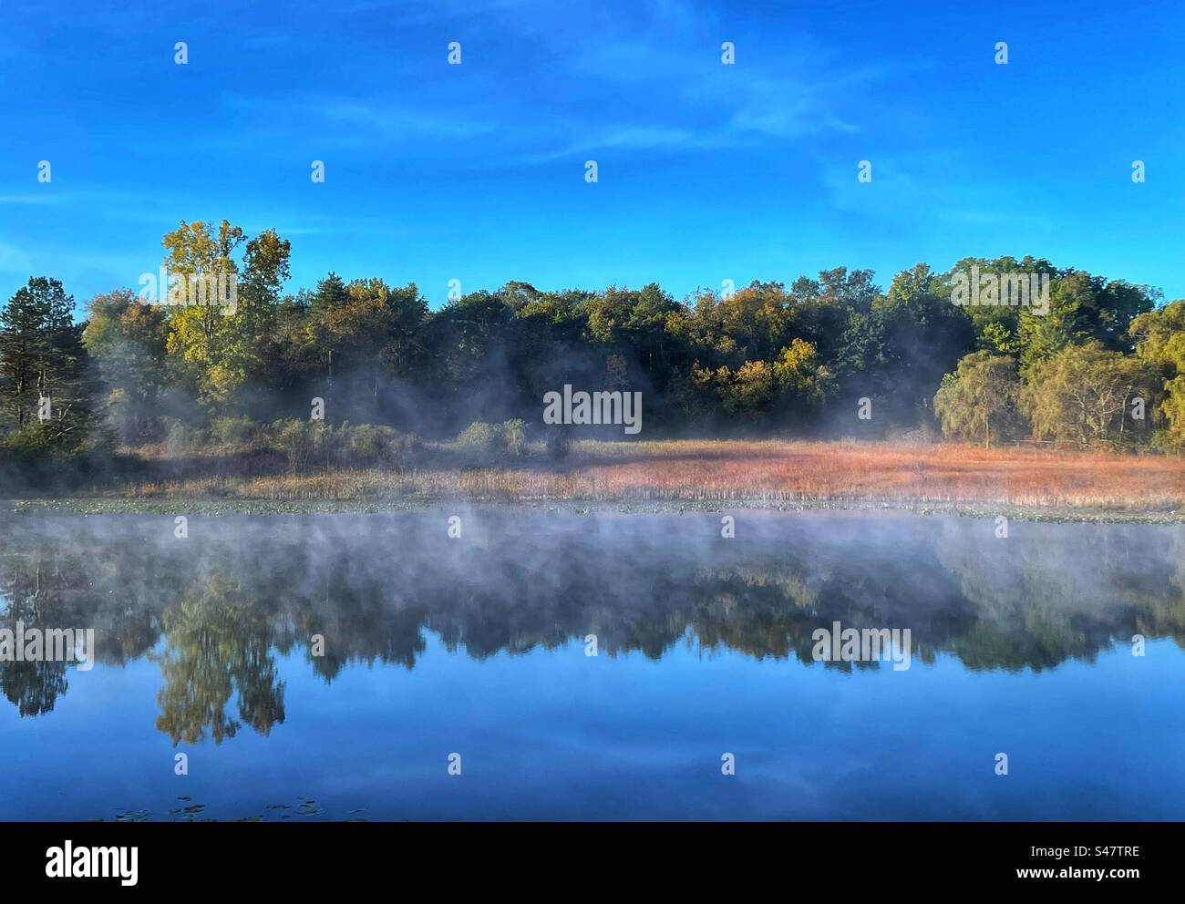 Natures mirror image hi-res stock photography and images - Alamy