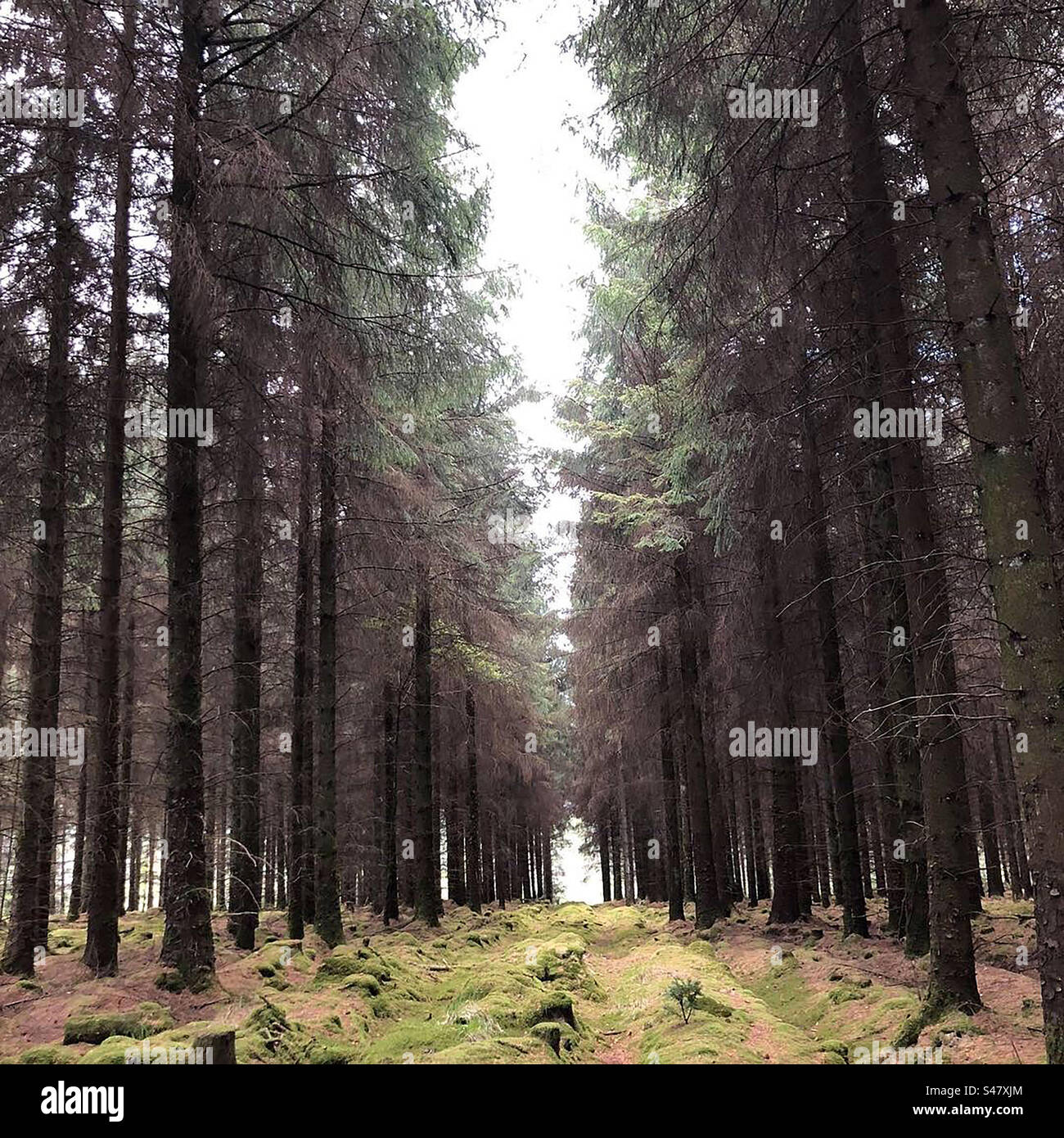 Devon nature hi-res stock photography and images - Alamy