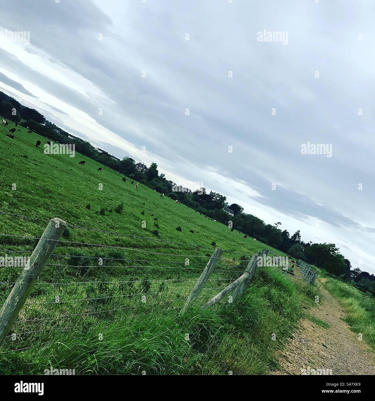 Devon countryside hi-res stock photography and images - Alamy